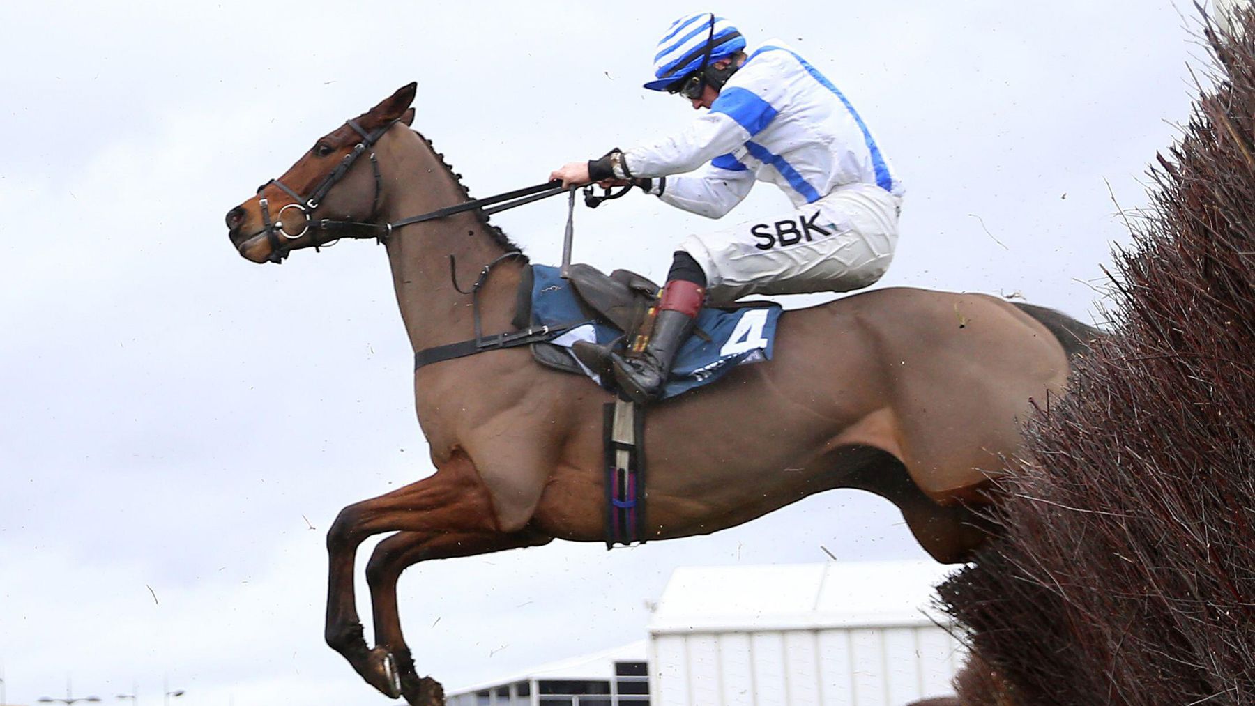 Cheltenham Trials Day review and free video replays