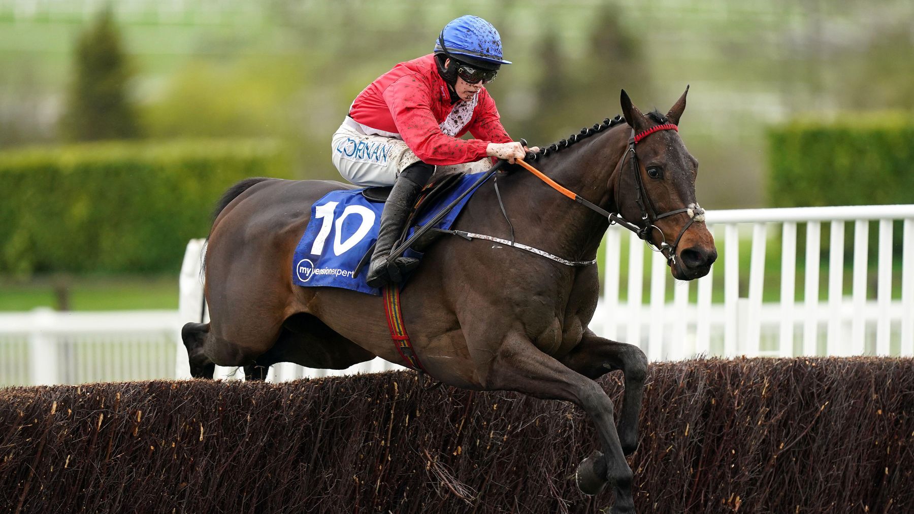 Darragh O'Keeffe on Cheltenham Festival hopes Quilixios, Bob Olinger ...