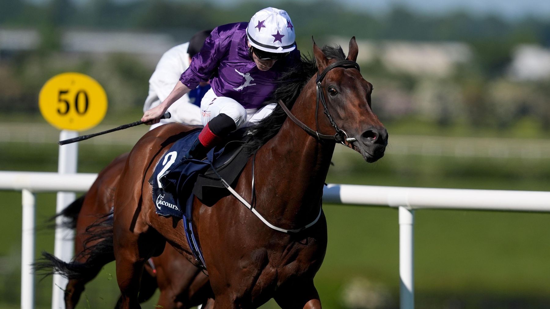Adrian Murray making plans for stable switcher You Got To Me