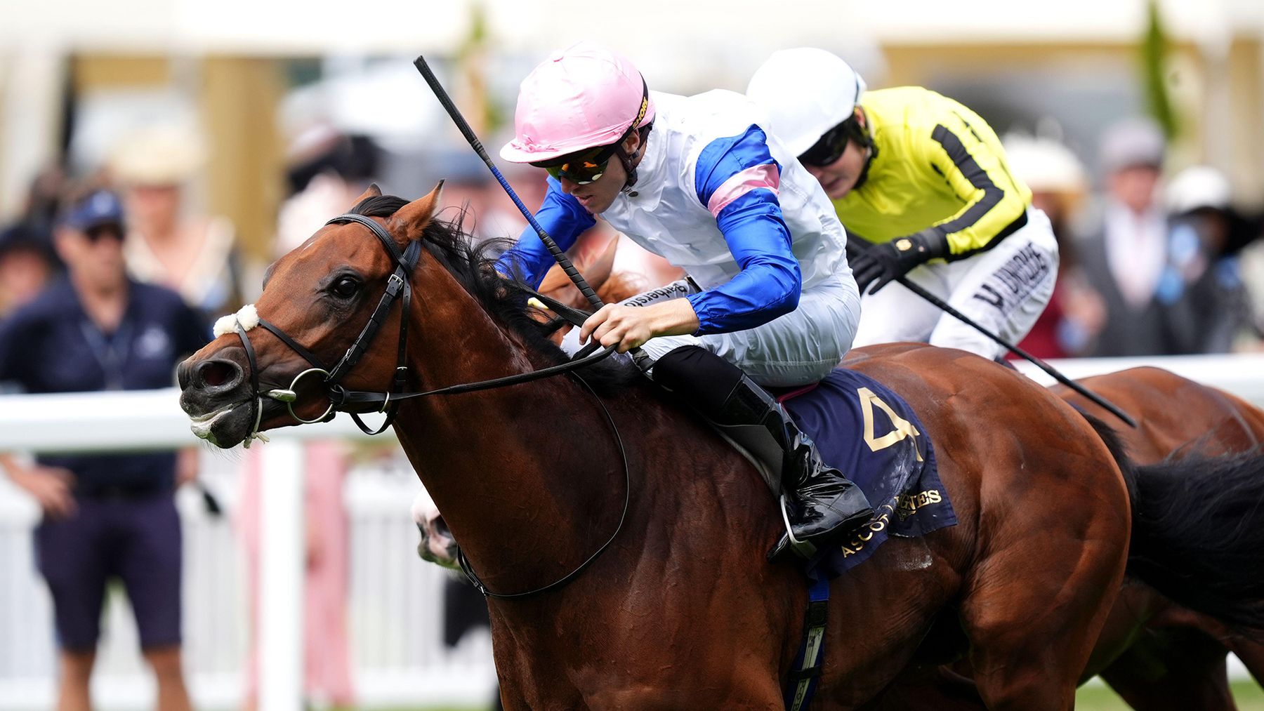 Joseph O'Brien on plans for Limestone, Thundering On & James J Braddock
