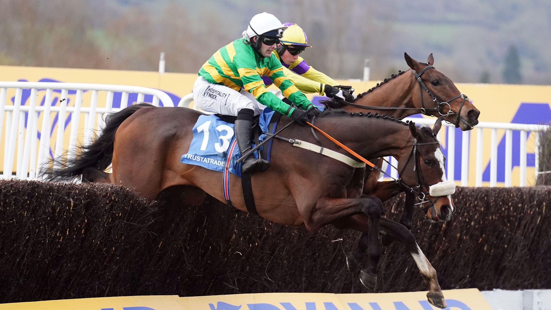 Jagwar on the rise, Winston Junior a Fred Winter candidate and Sans ...