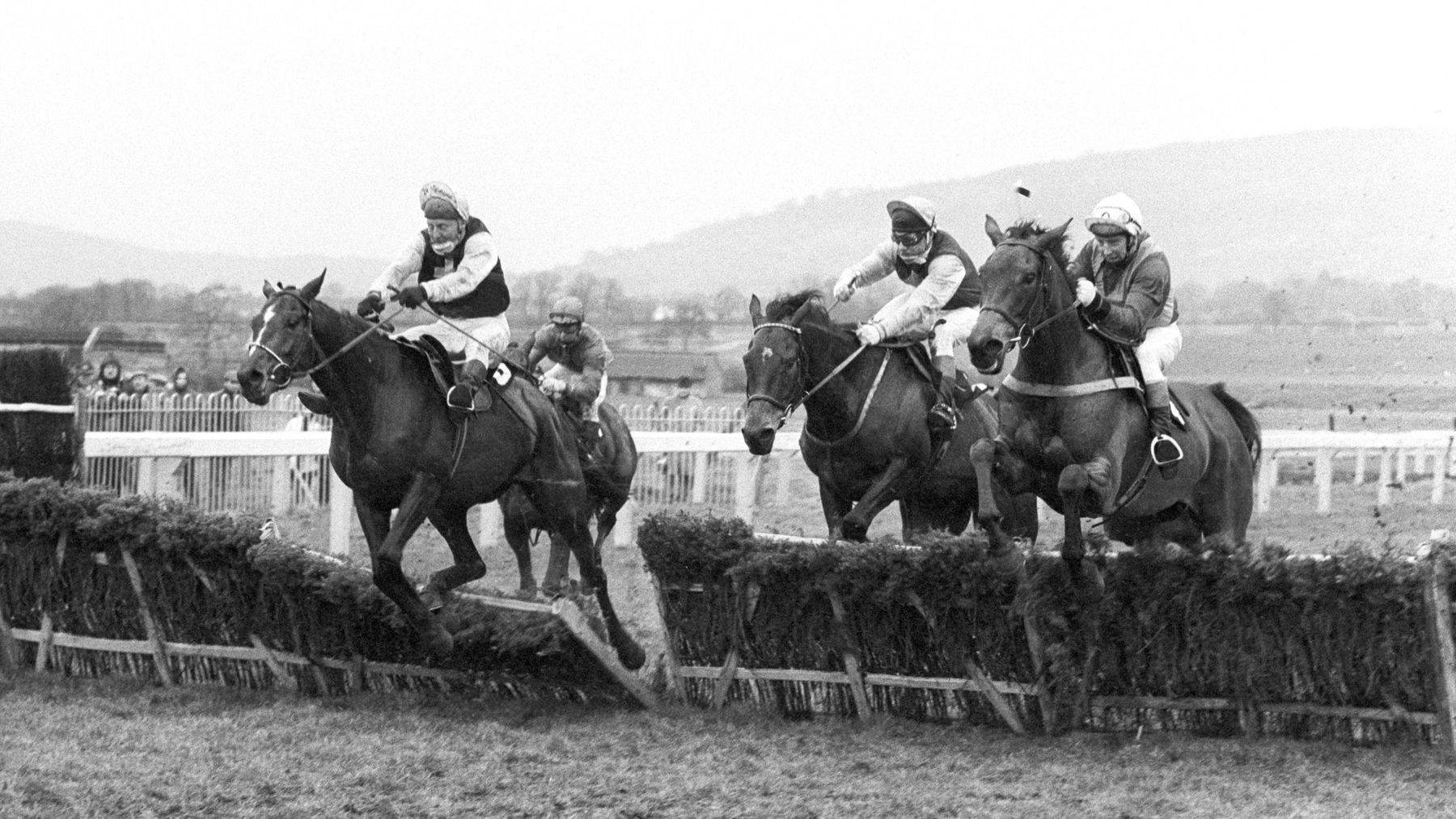 Timeform profile Peter Easterby greats Night Nurse and Sea Pigeon