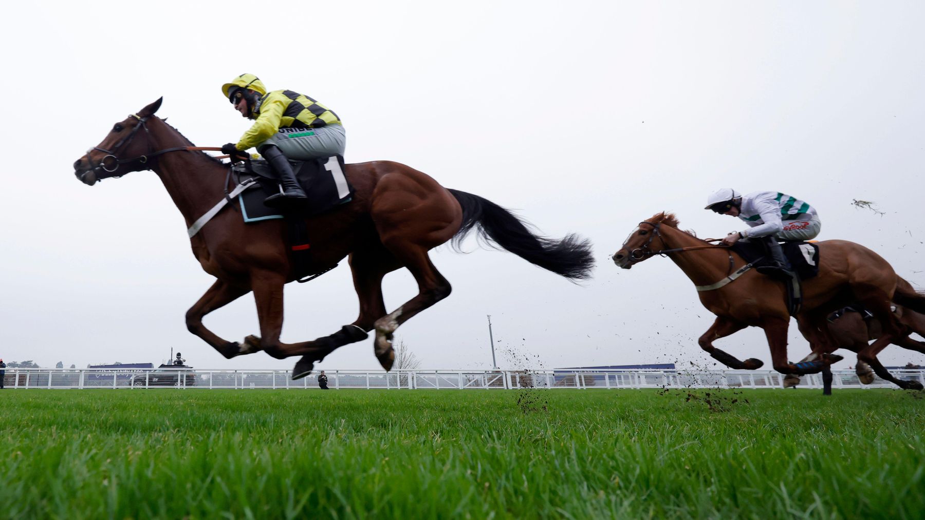 Weekend entries: Lulamba and Palladium in the Adonis