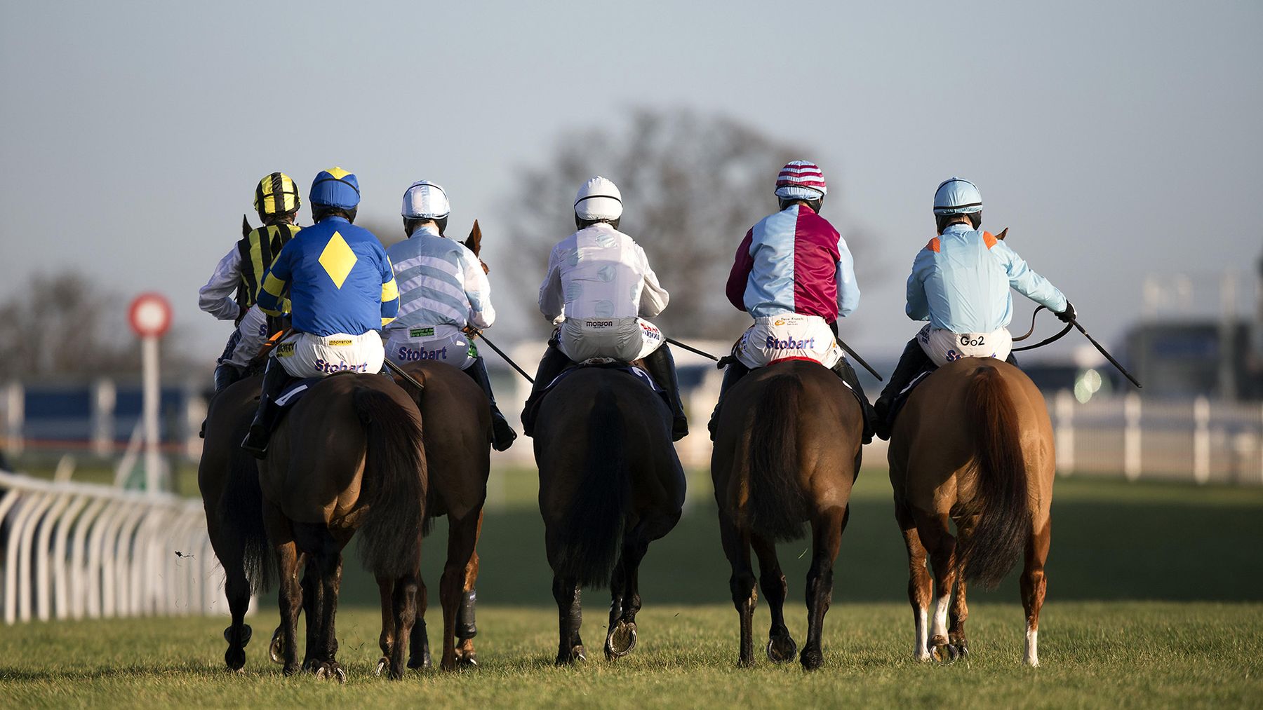 Mr Incredible making debut for Sandy Thomson at Wetherby
