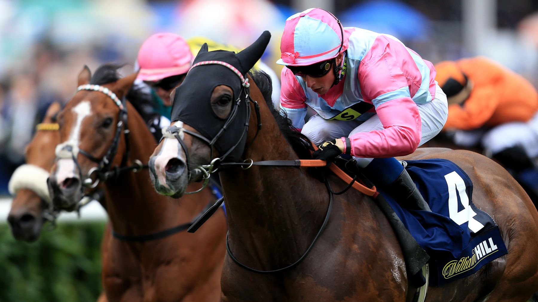 Dan Briden Two-Year-Old Guide: Charlie Clover & Jack Morland
