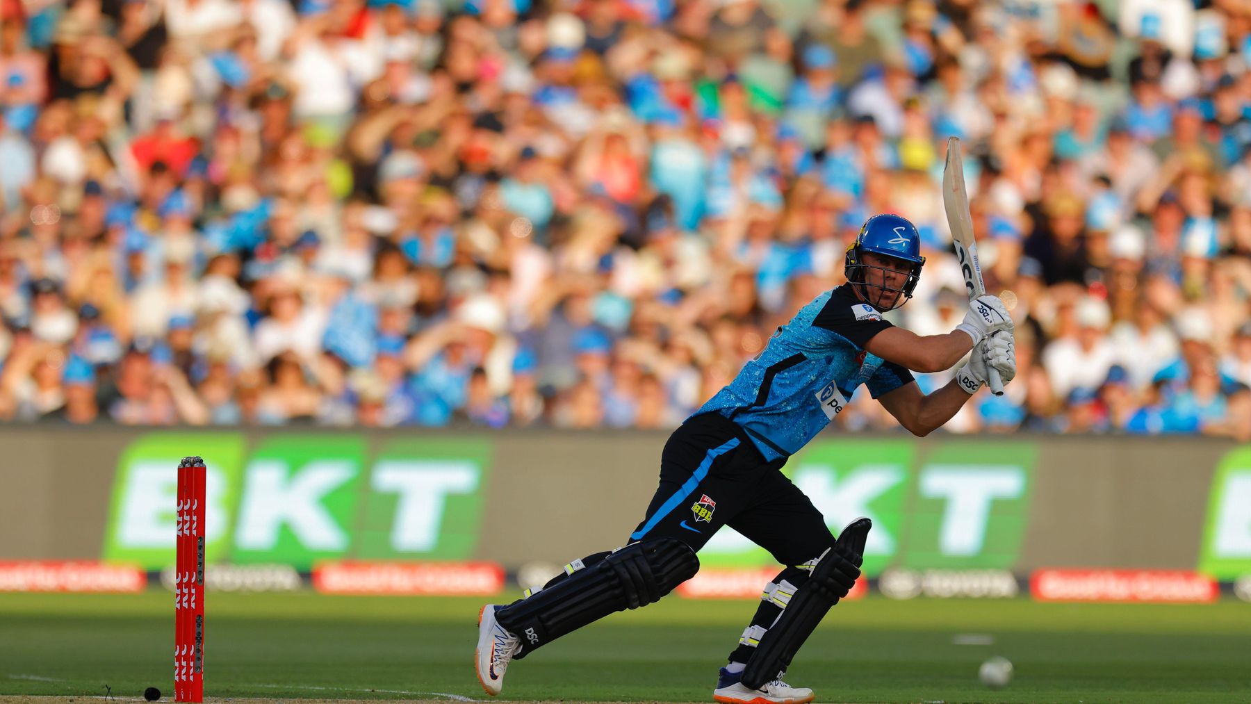 Big Bash cricket betting tips: Adelaide Strikers v Brisbane Heat match ...