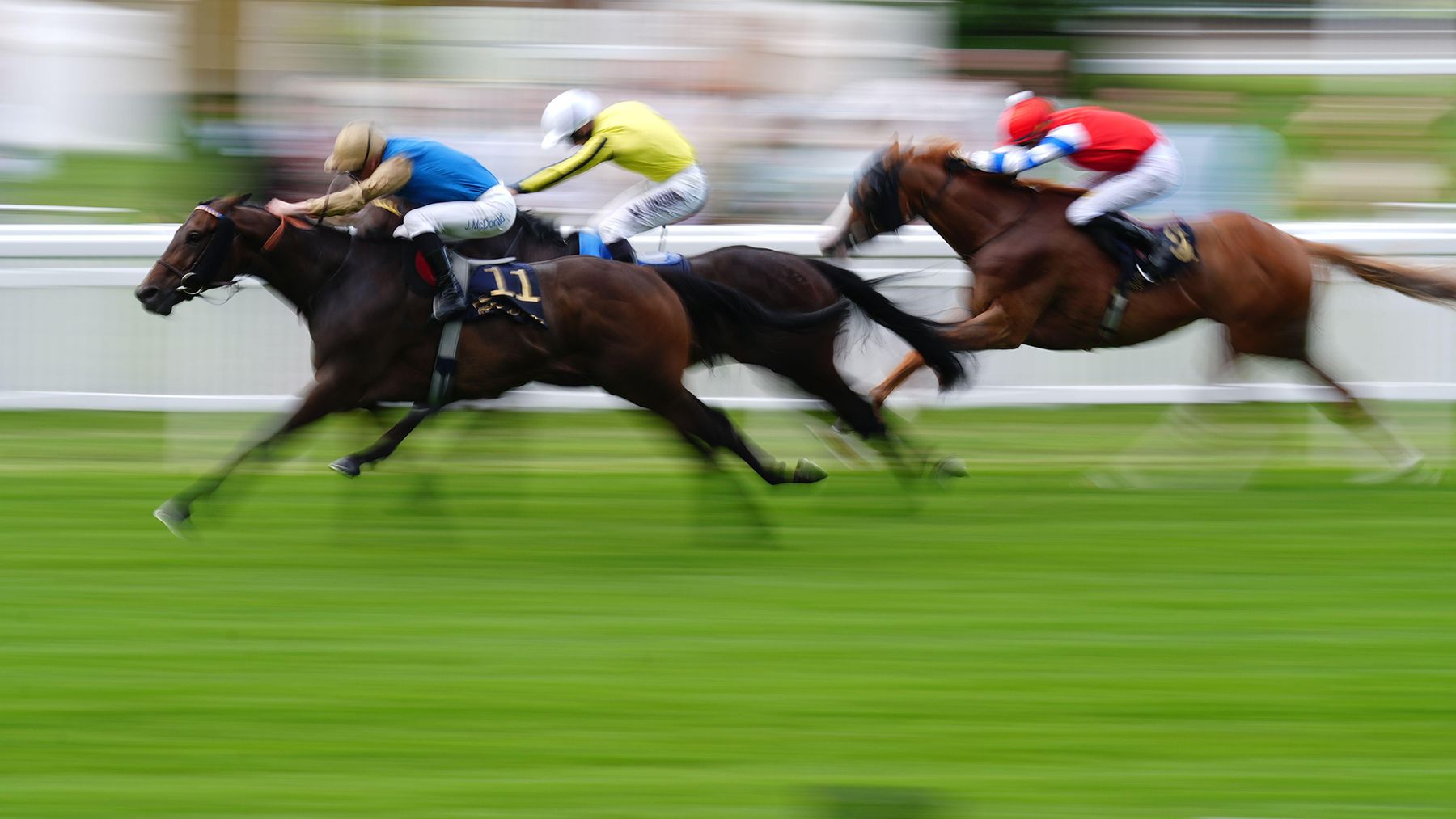 Trackside Live recap from Royal Ascot: parade ring updates and selections