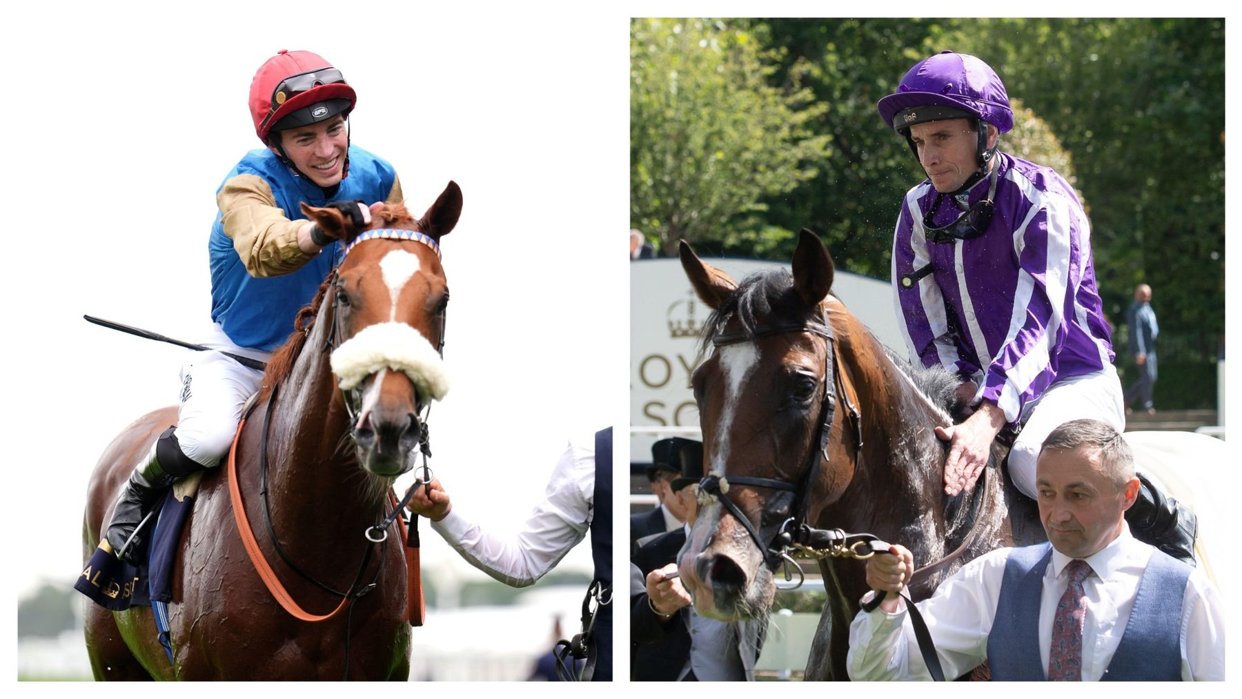 Glorious Goodwood Tips: Tuesday Q&A including Goodwood Cup