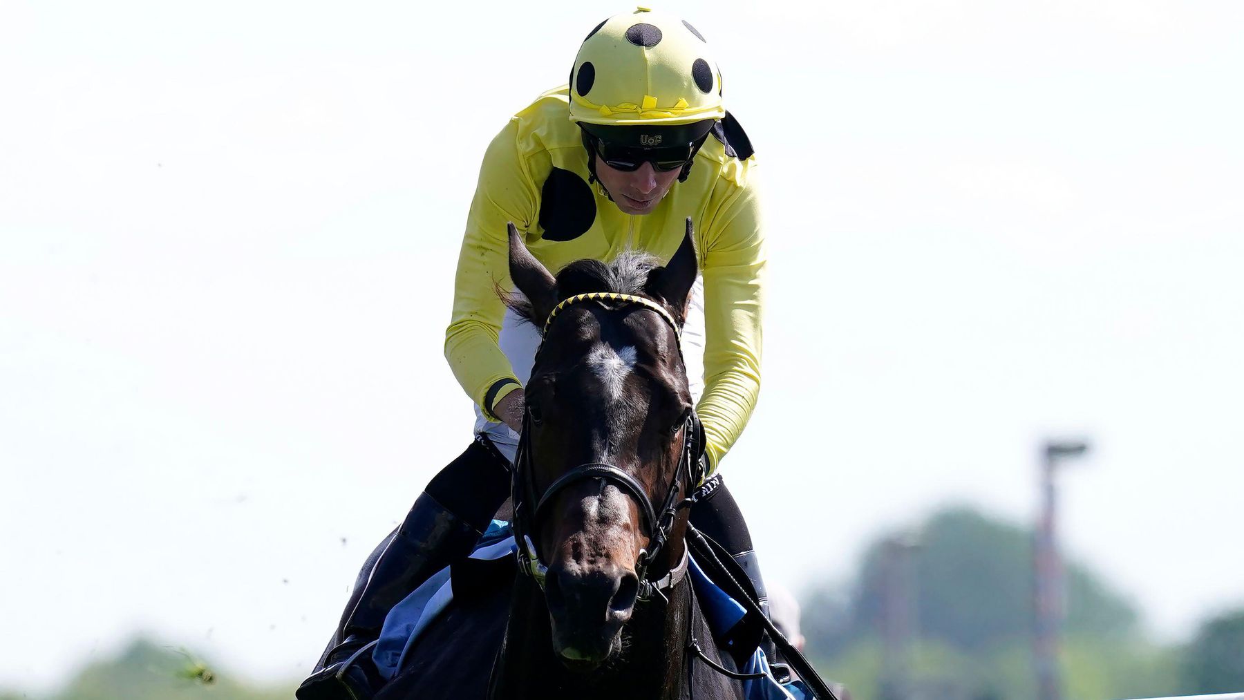Betfair Sprint Cup: David Ord preview