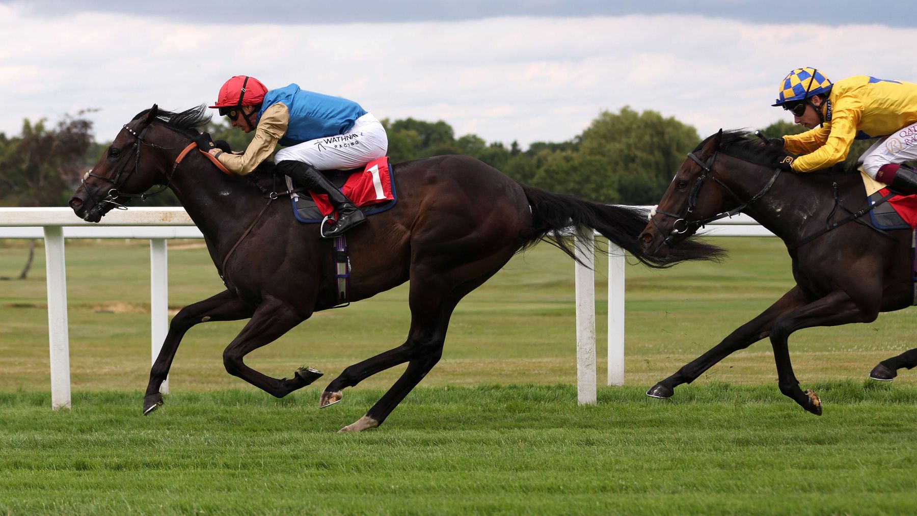 Amo Racing and Wathnan Racing among the winners from this year's breeze ...