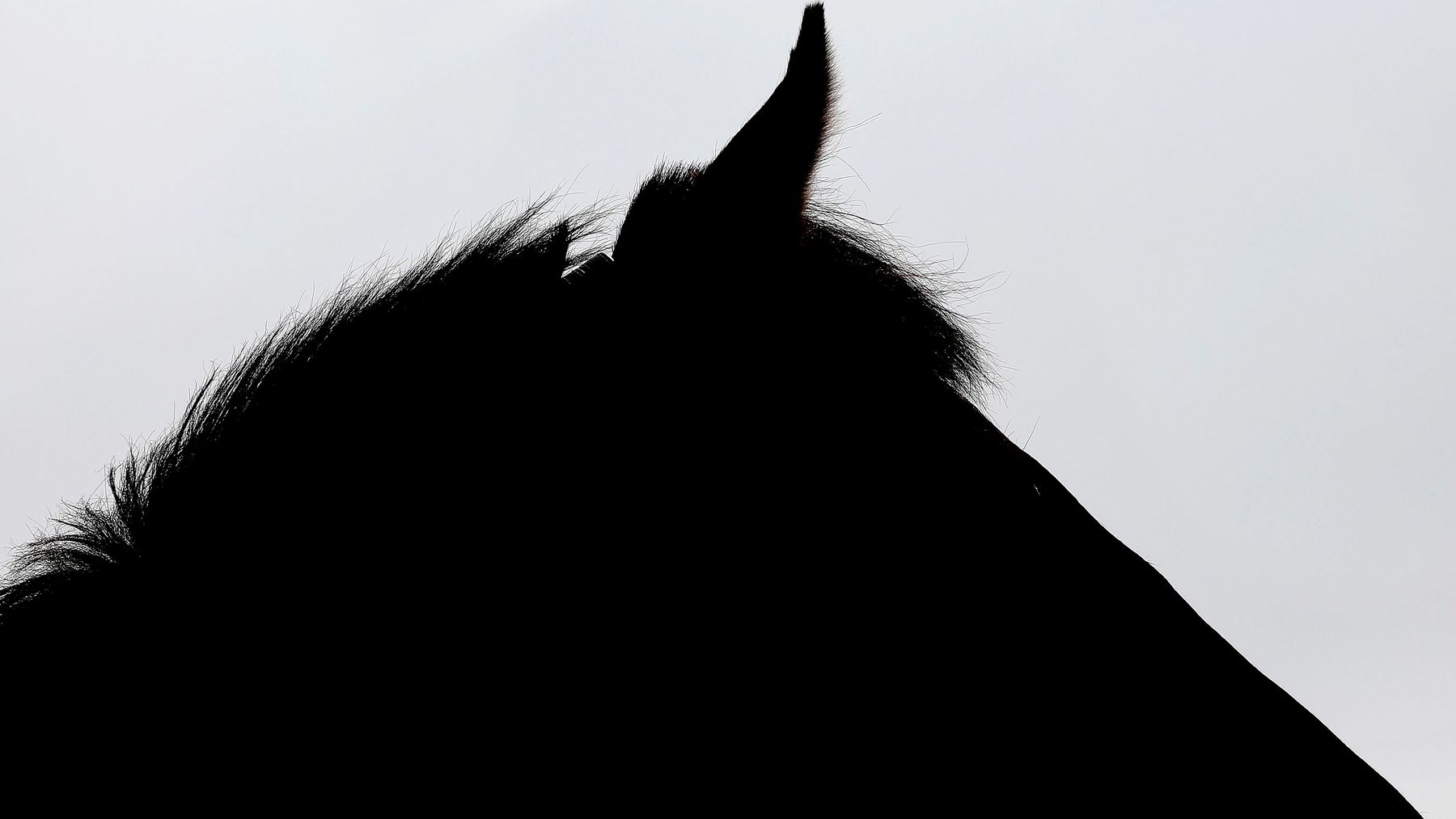 Graham Cunningham on Panorama, the King George, a bad hour for the ...