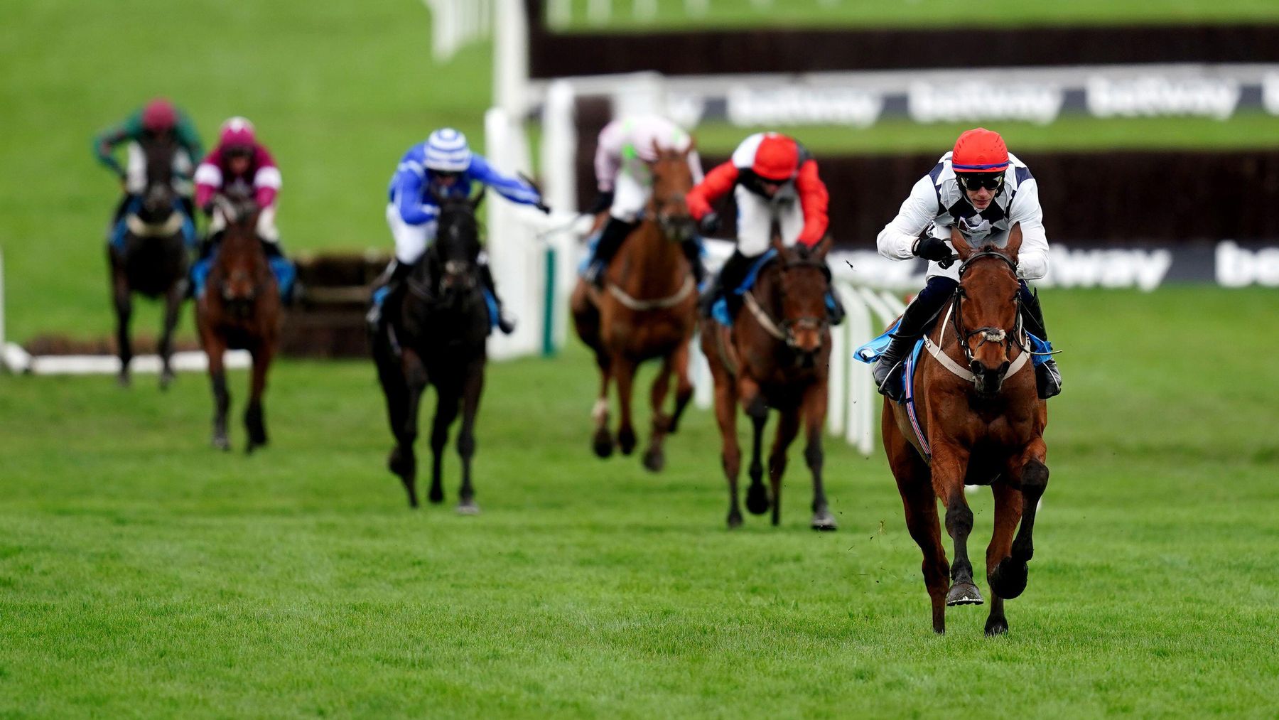Cheltenham Festival tips: Mark Howard best bets