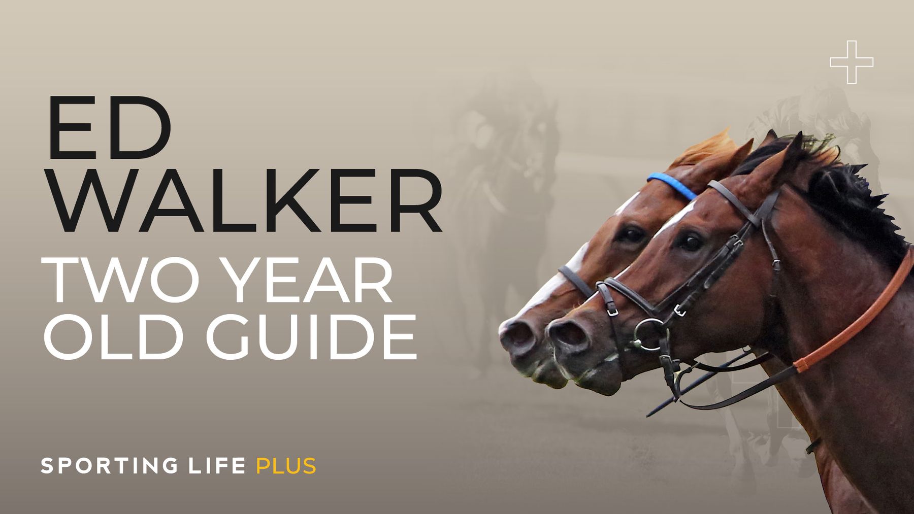Dan Briden Two-Year-Old Guide: Ed Walker
