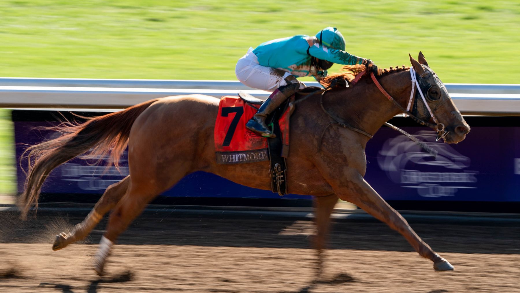 Breeders' Cup Sprint report: Whitmore rolls back the years to win at ...