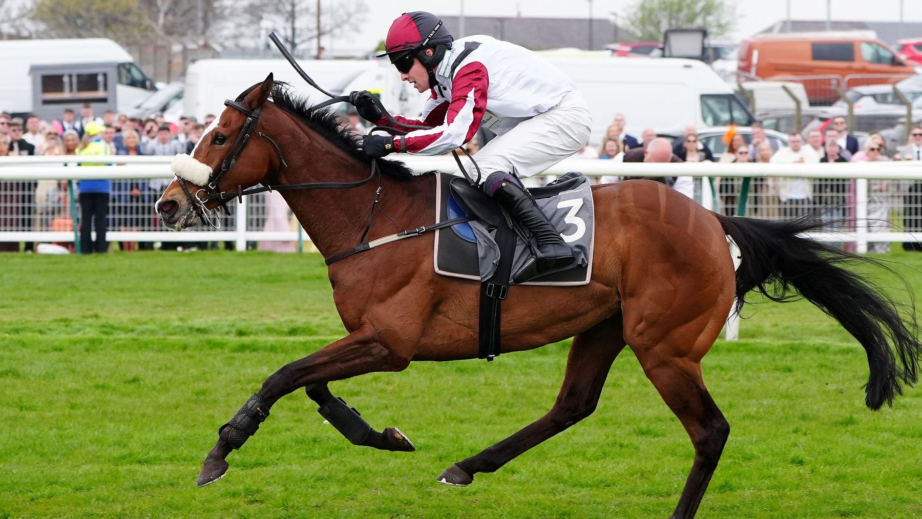 Ayr Review | Cracking Rhapsody won the Coral Scottish Champion Hurdle