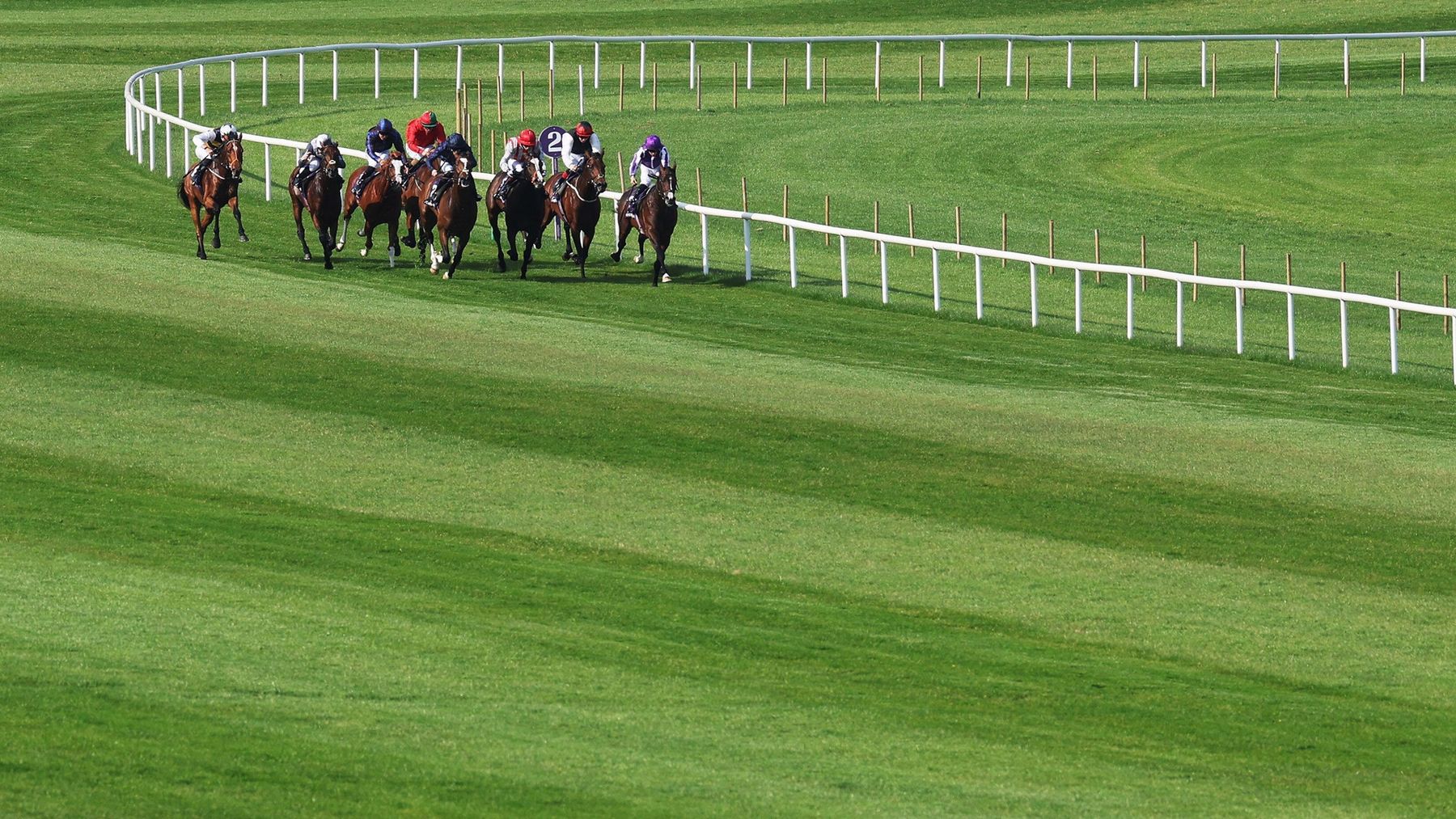 Fran Berry's Irish eyecatchers | Invest in Offshore account next time