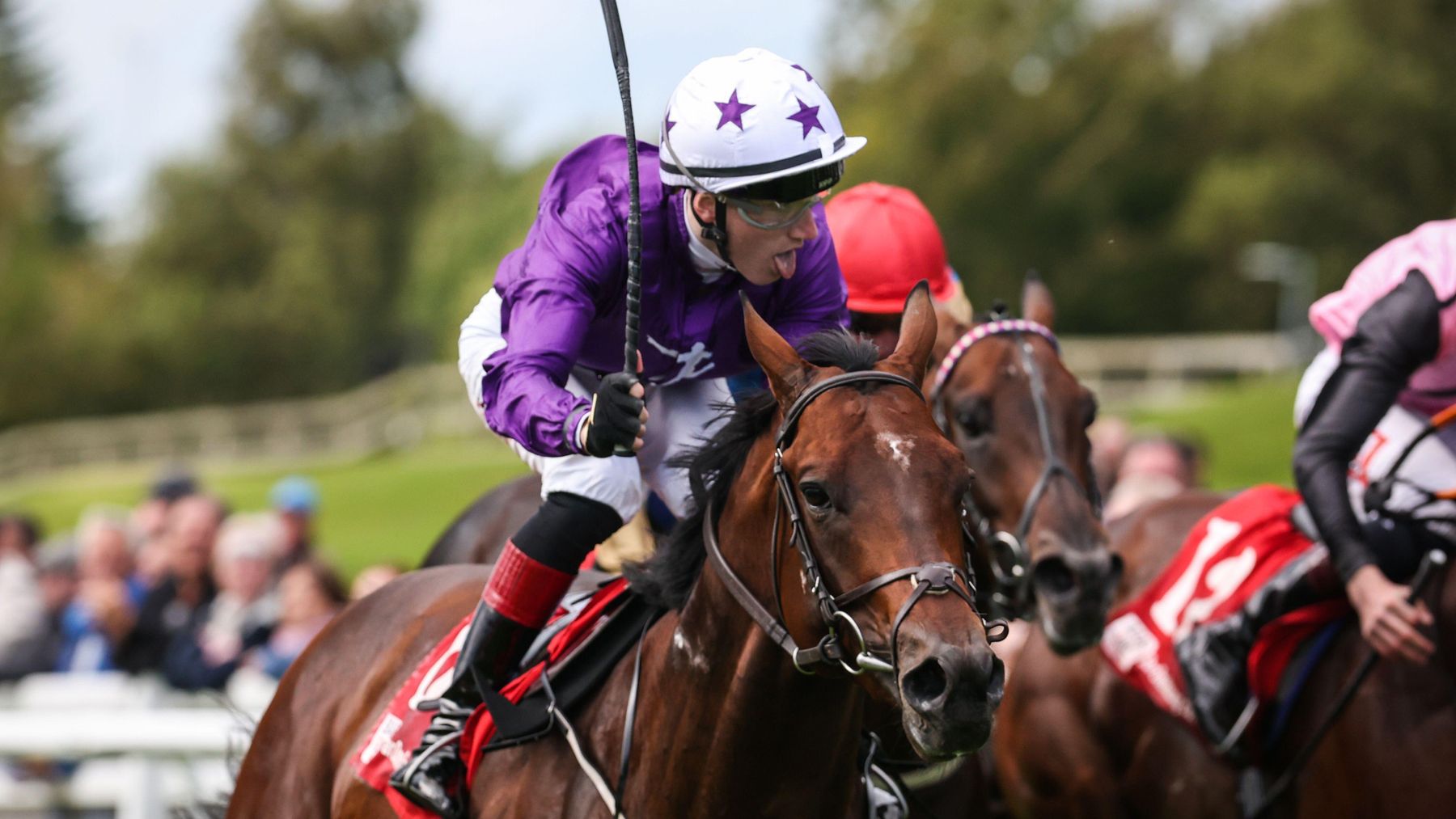 David Egan extends Amo Racing deal through to 2028