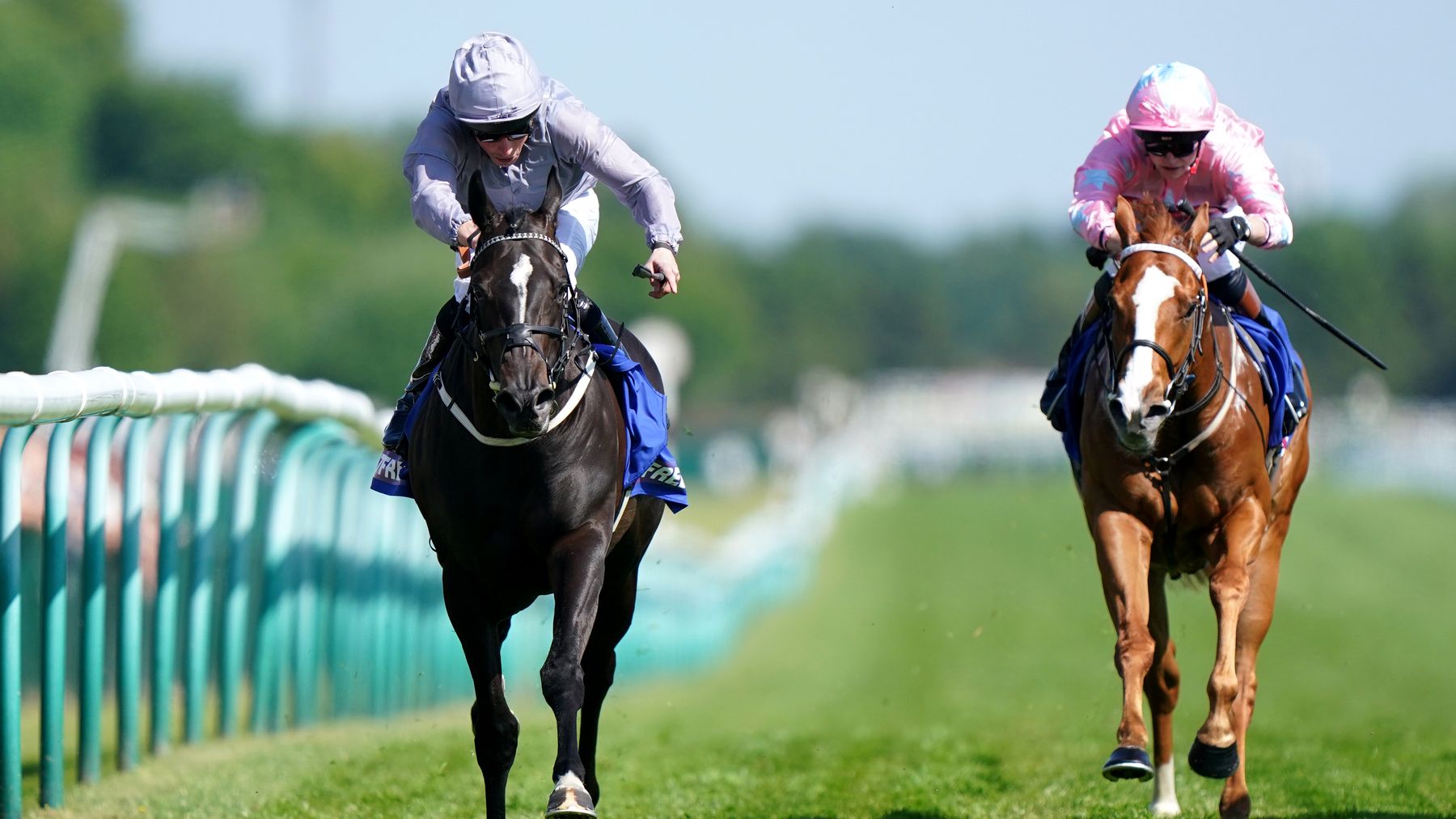 Weekend Racing: Expert panel | Horses to follow and tips for Newmarket ...