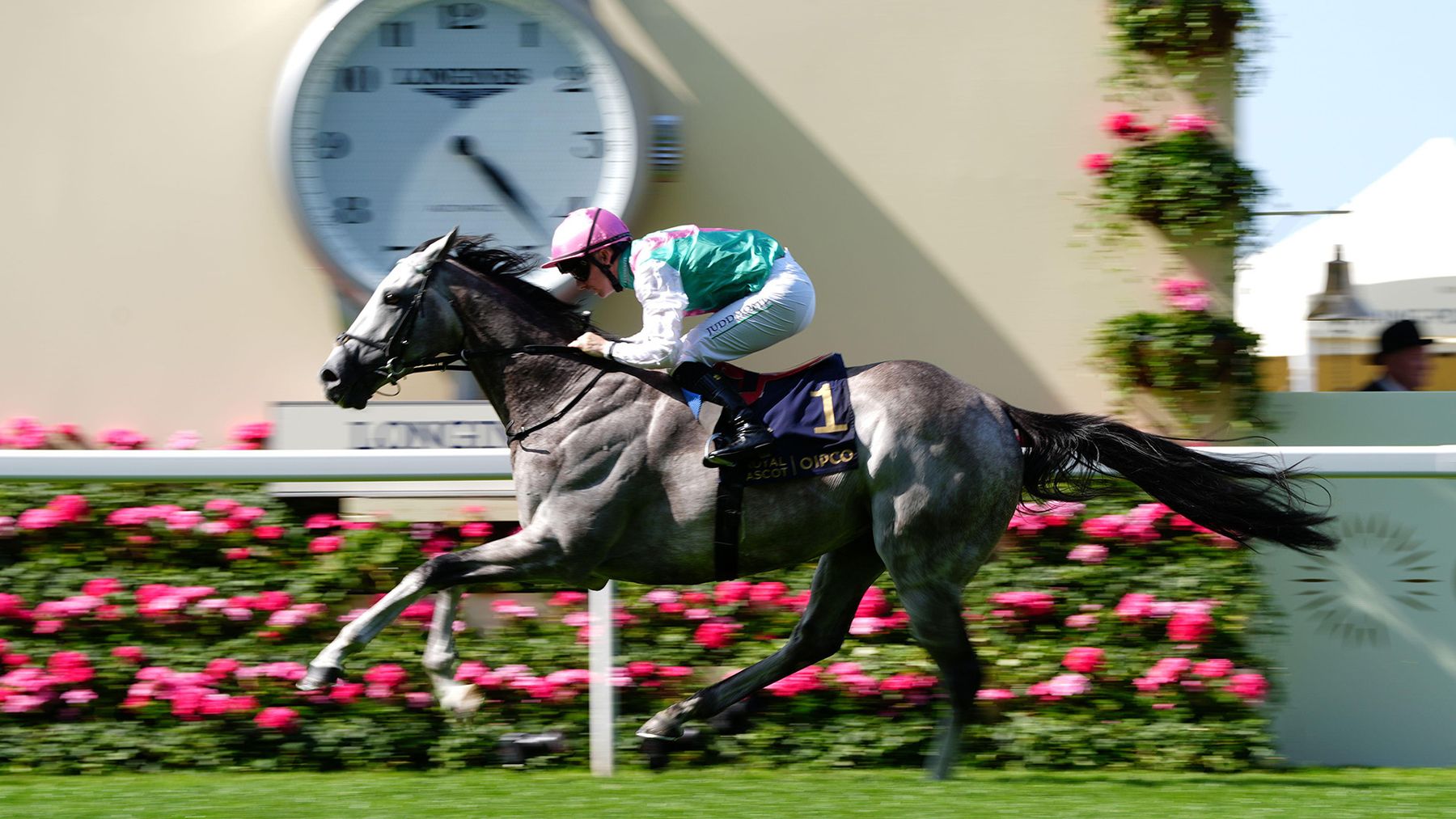 Plans on hold for Field Of Gold as he recovers from lung infection