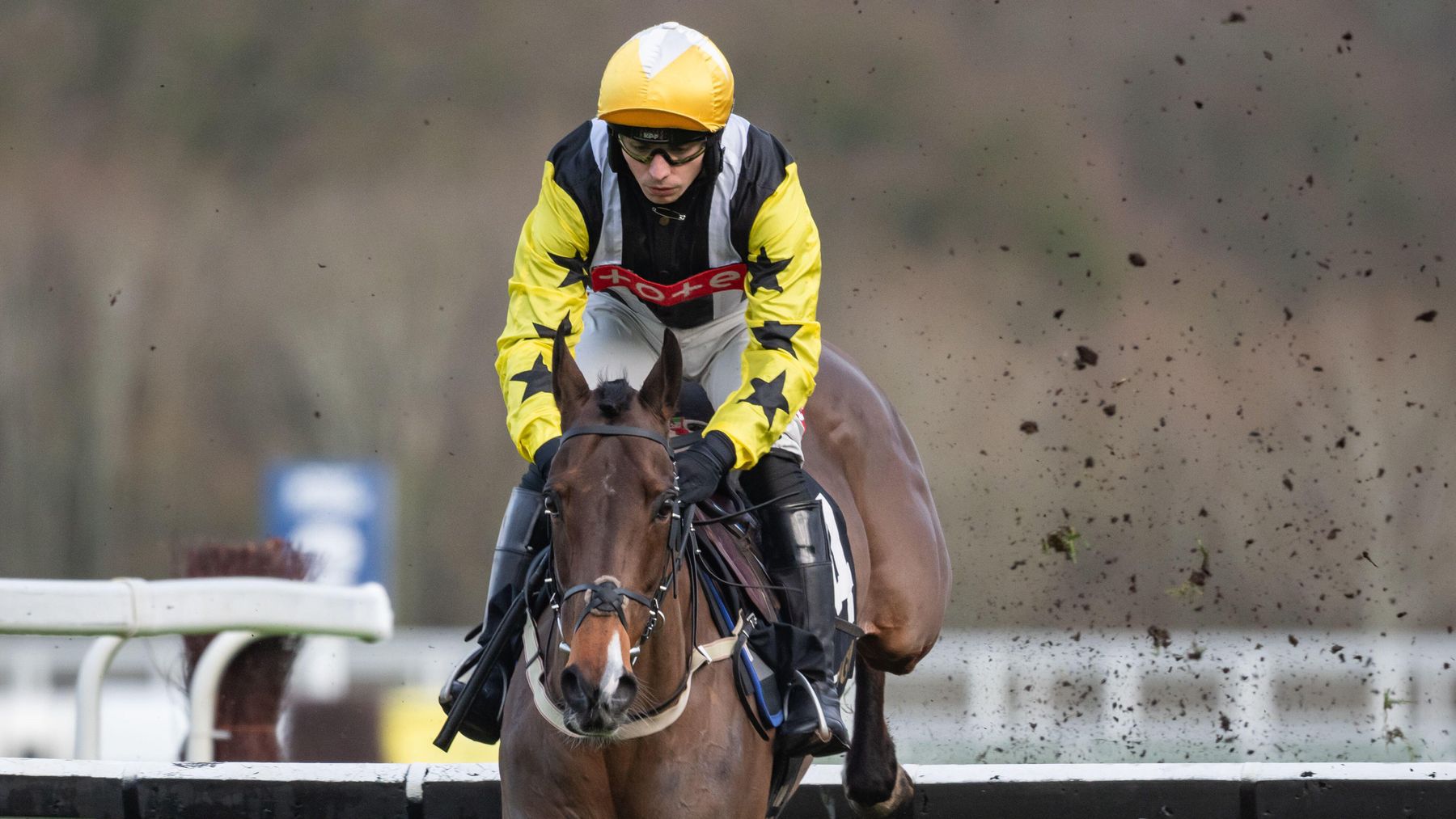 Reports, reaction and free video replays from the rest of Ascot on ...