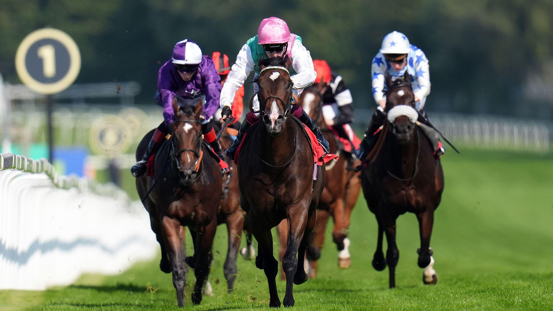 Harry Charlton: Five to follow from my Beckhampton yard for the 2025 ...