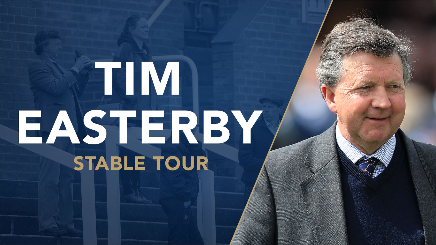 Tim Easterby: Horses to follow | Winter Power, Art Power and more ahead ...