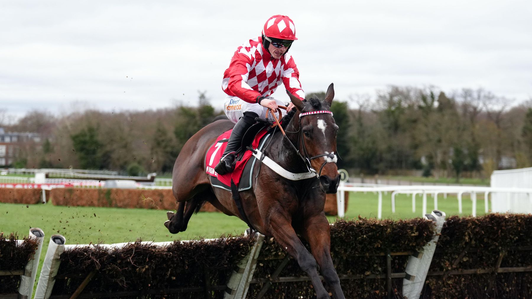 Jingko all the way for birthday boy Nicky Henderson at Uttoxeter
