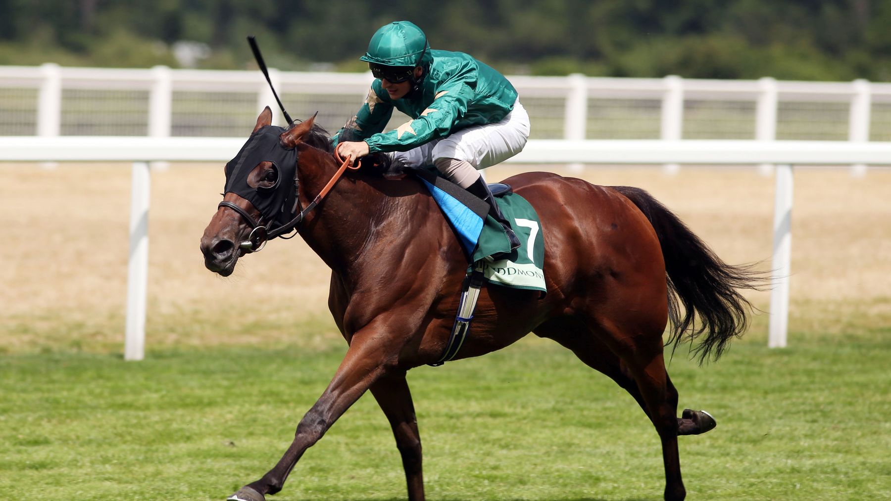 Dan Briden Two-Year-Old Guide: Jack Channon & James Horton