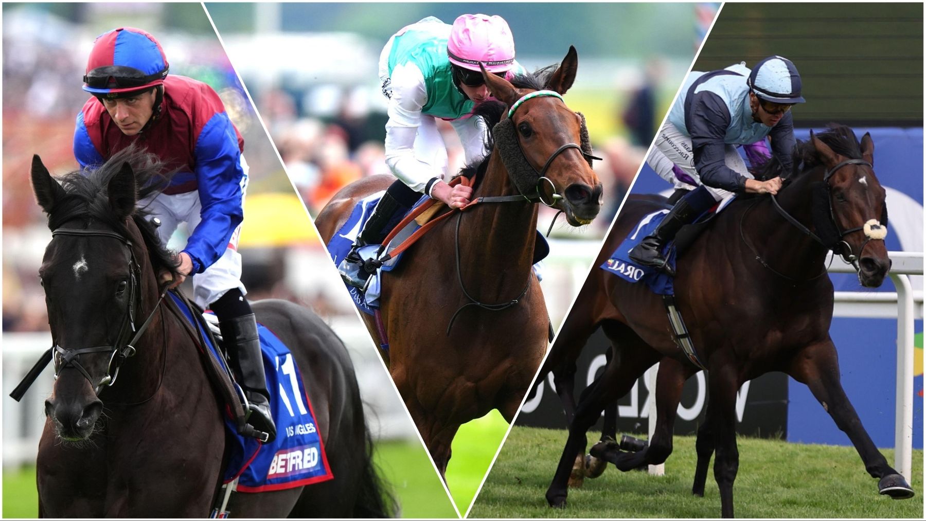 Al Riffa heads Timeform ratings in a wide-open Prix de l'Arc de ...