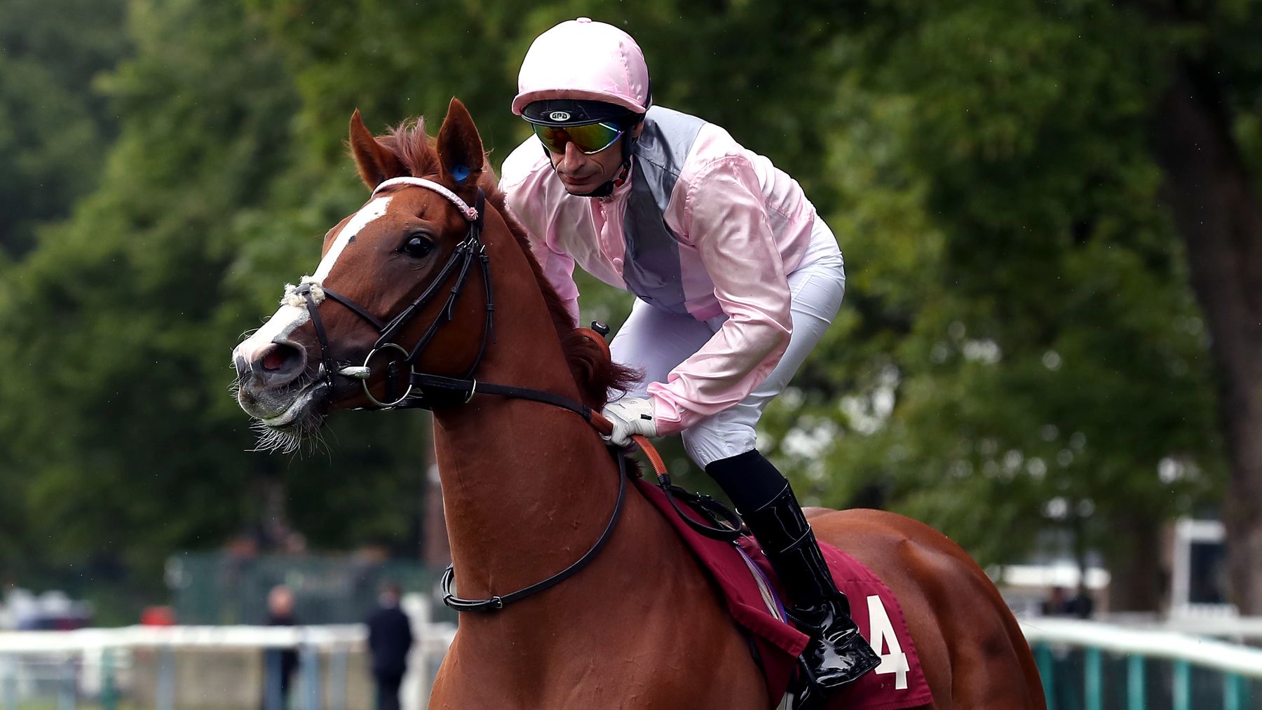 Dan Briden Two-Year-Old Guide: Ed Bethell