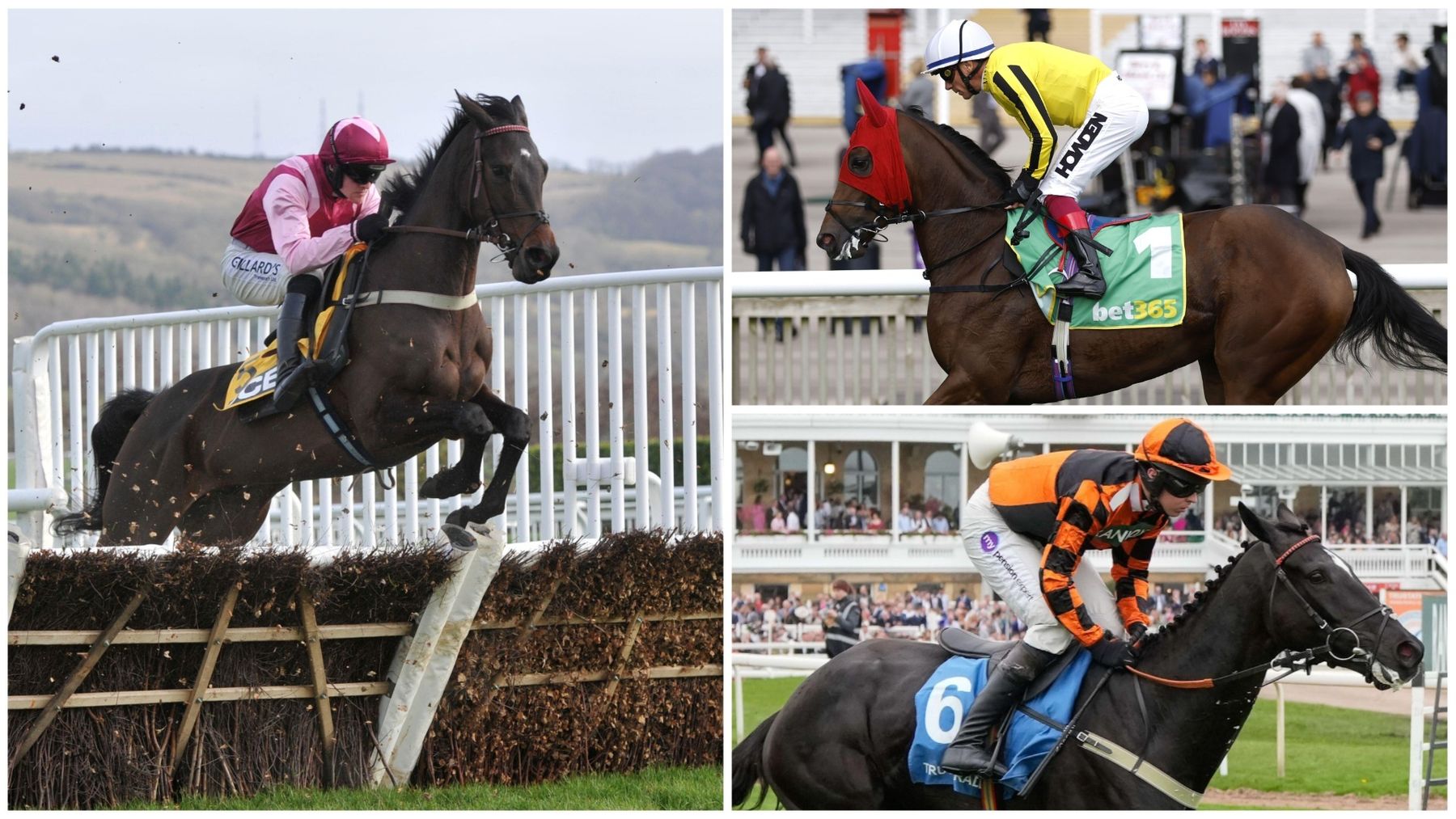 Five promising horses for Newbury's Coral Gold Cup Meeting November 29-30