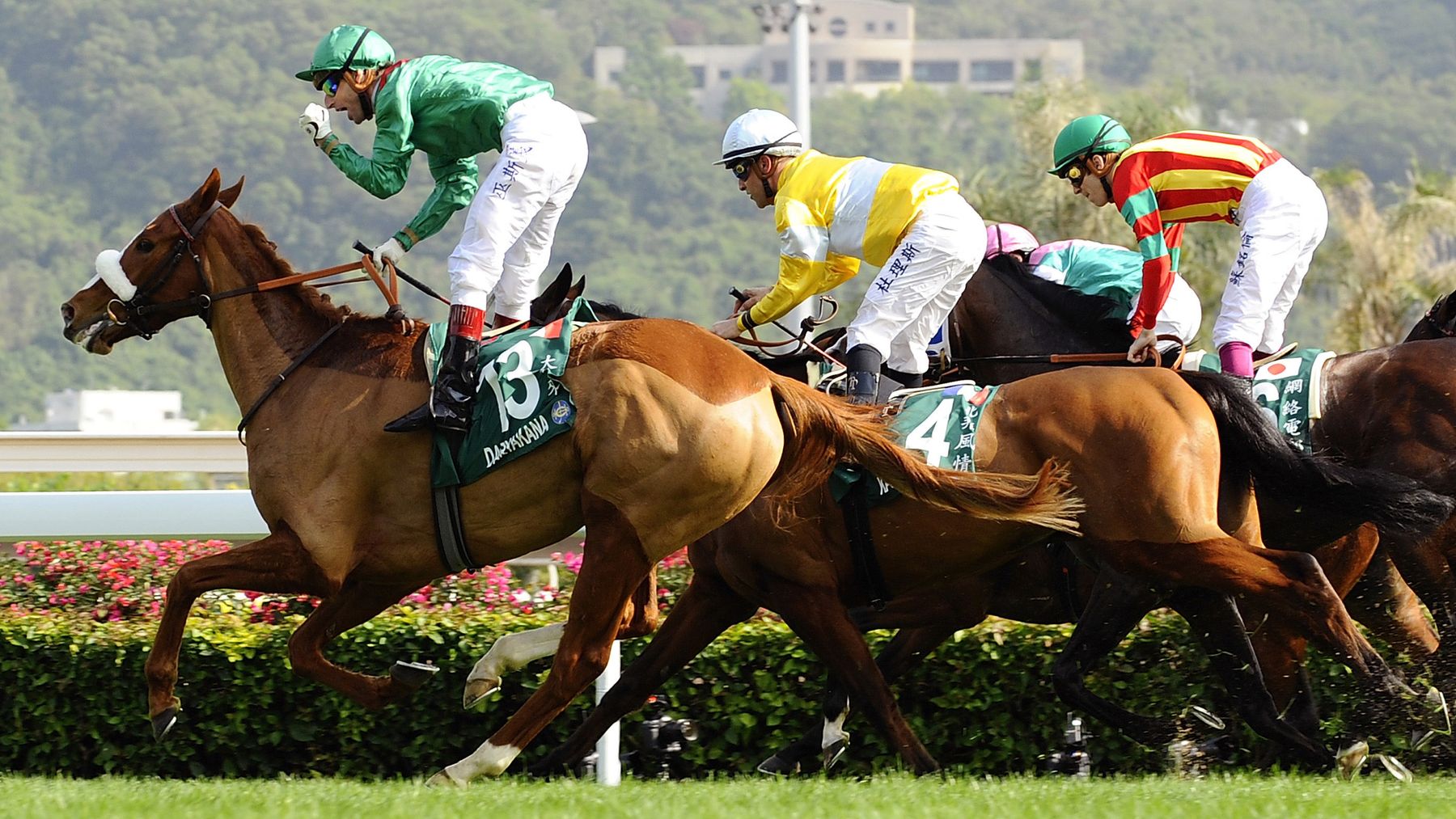 Dan Briden Two-Year-Old Guide: Eve Johnson Houghton