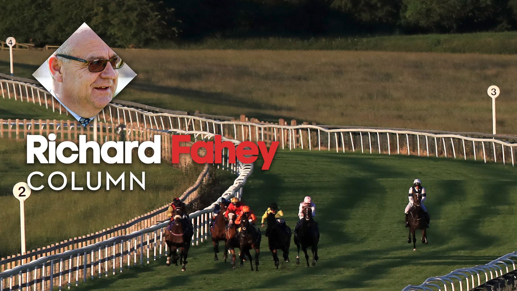 Richard Fahey column with a guide to weekend runners