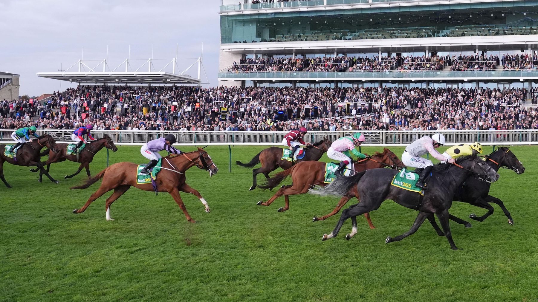 Racing blog recap: Trackside Live updates from the Cambridgeshire ...