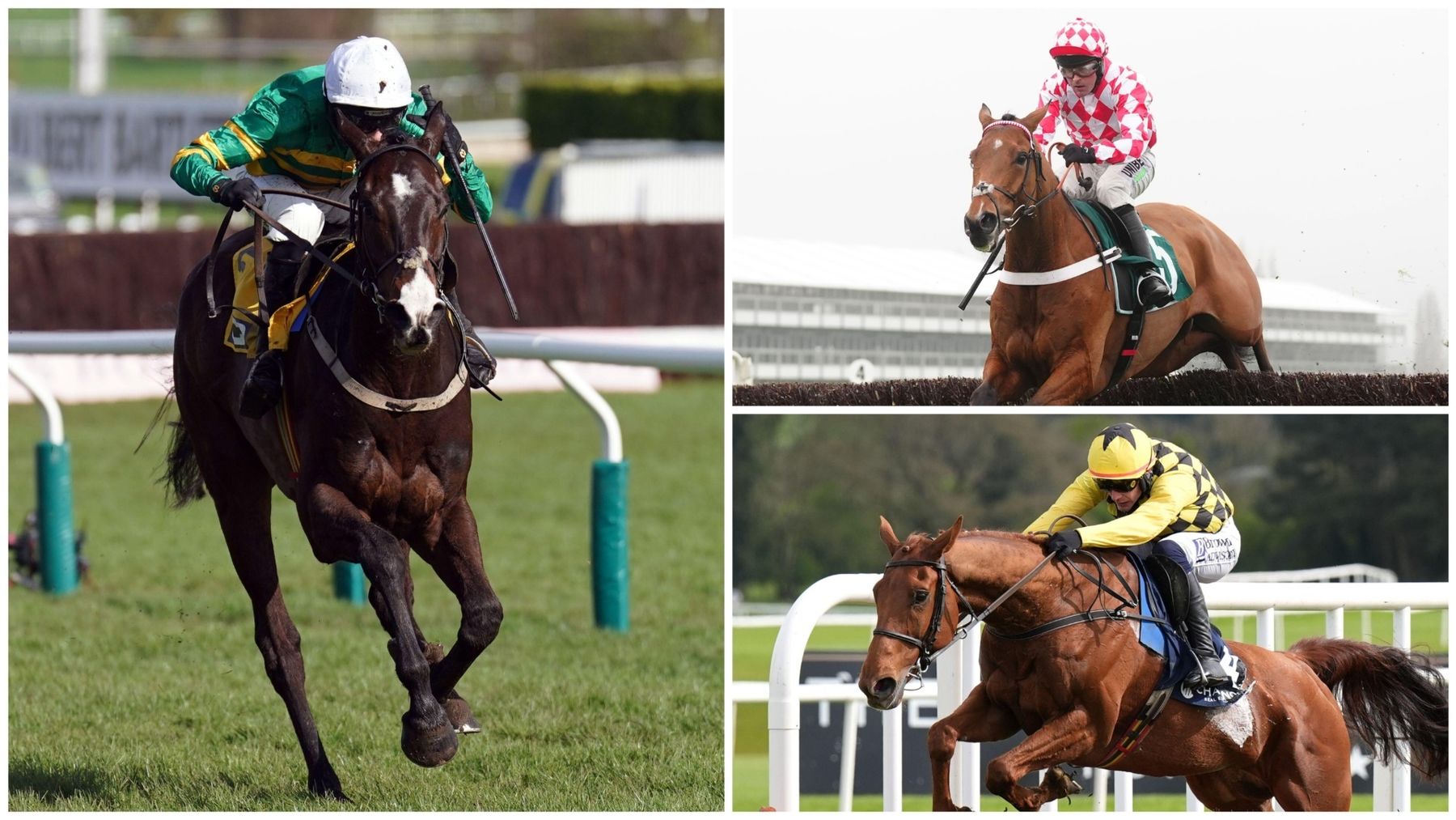 Timeform ratings reaction to Dancing City, Jango Baie and Majborough