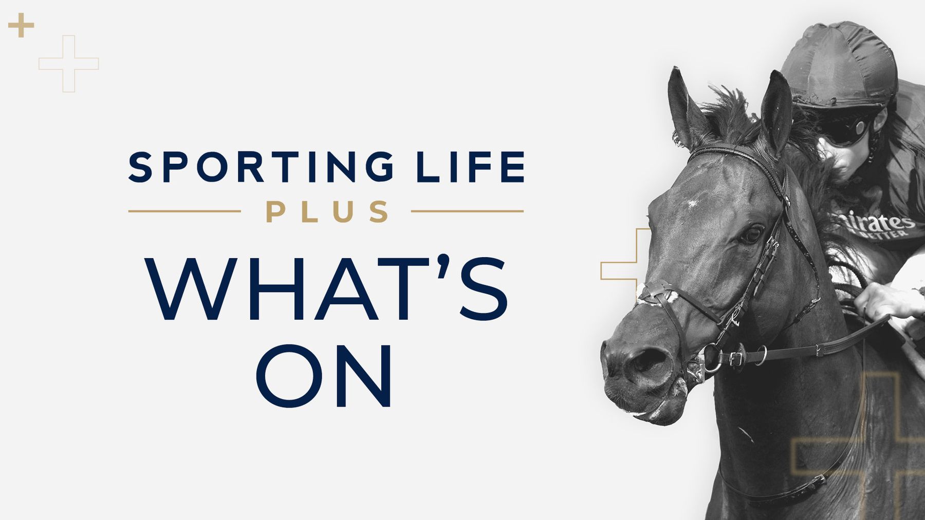 What's on this week and why log in to use Sporting Life Plus?