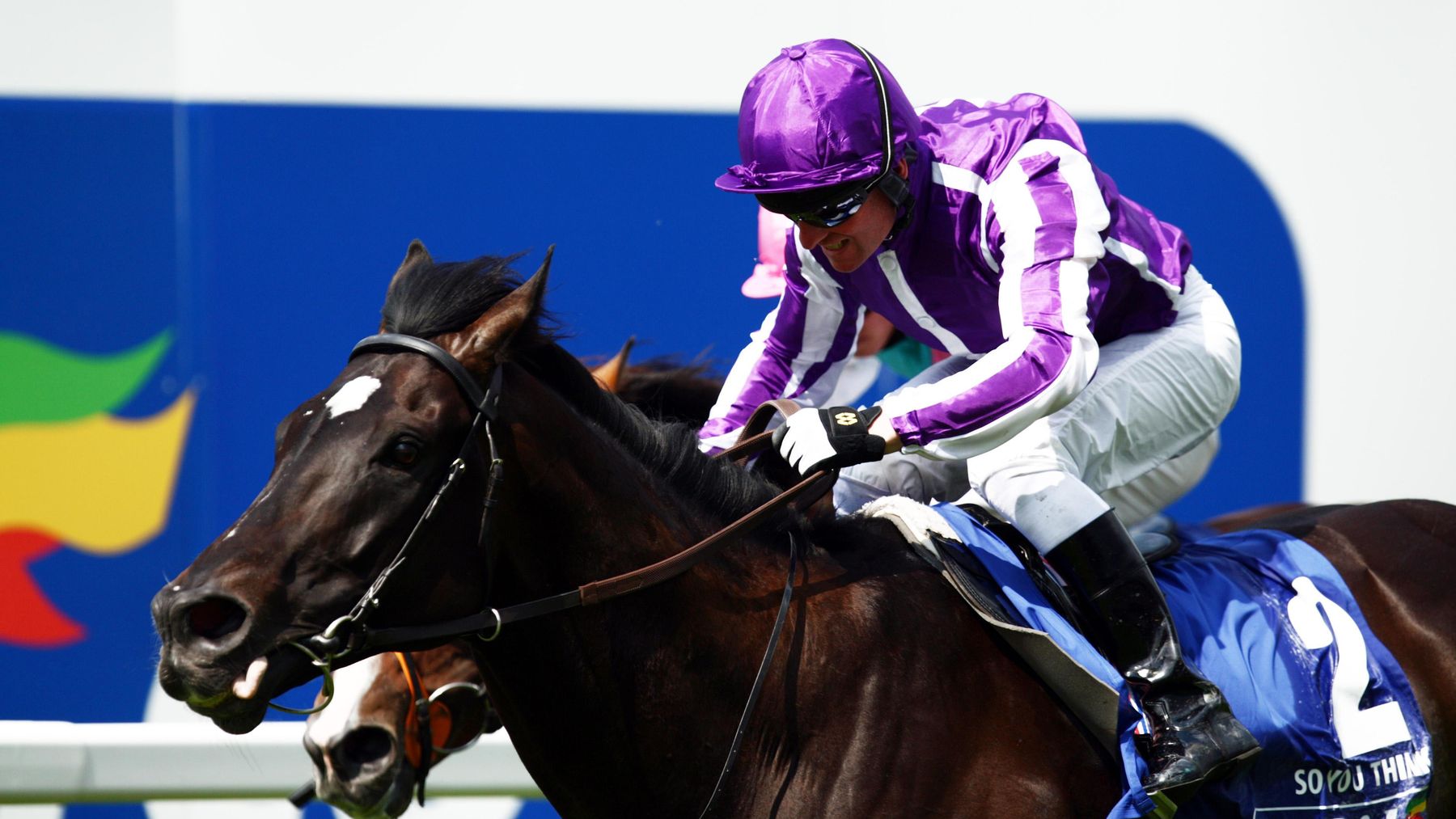 Is Aidan O'Brien's Australian sprinter Storm Boy the new ...