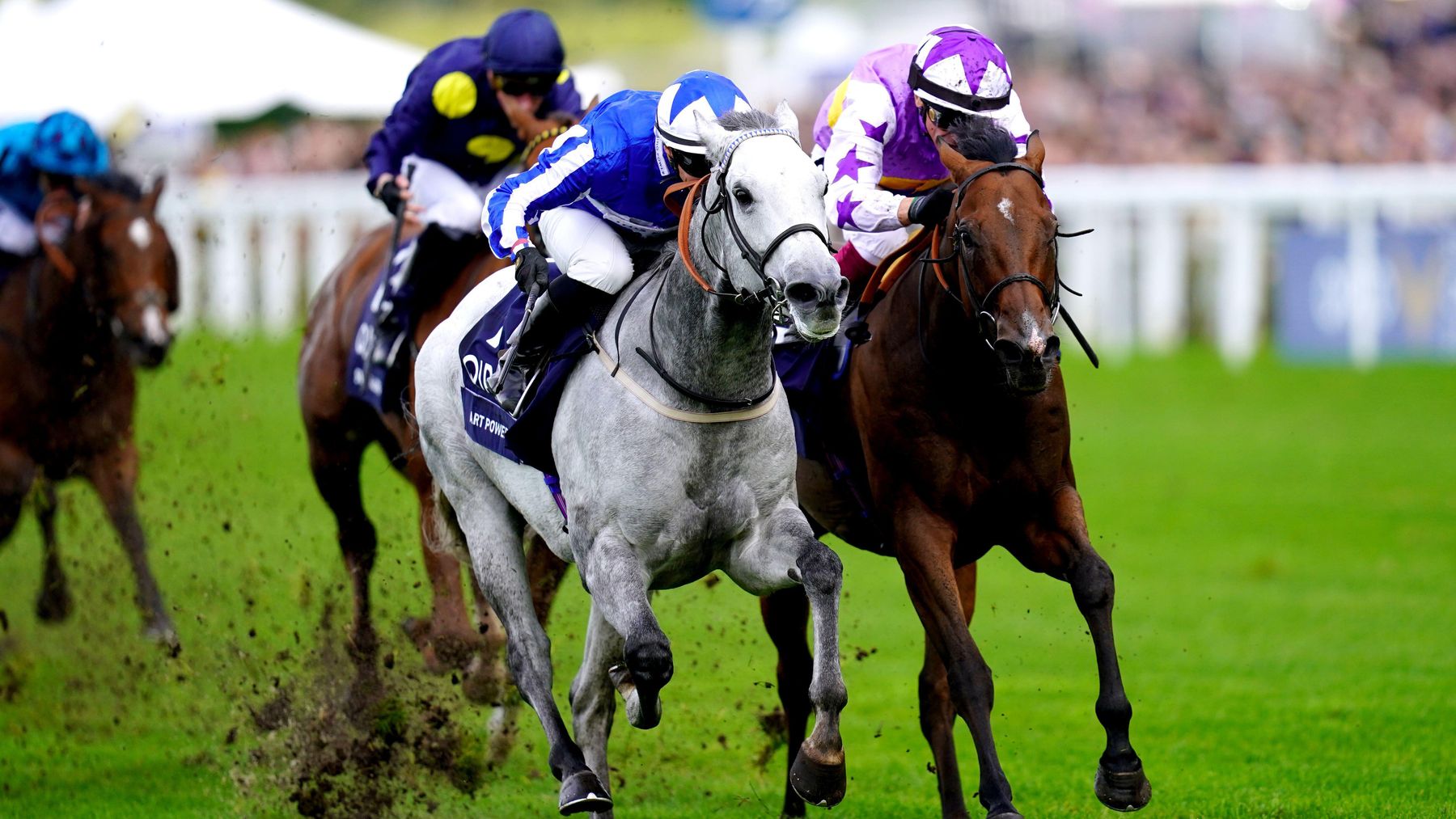 French monster Big Rock stars on the Frankie Dettori undercard, the ...