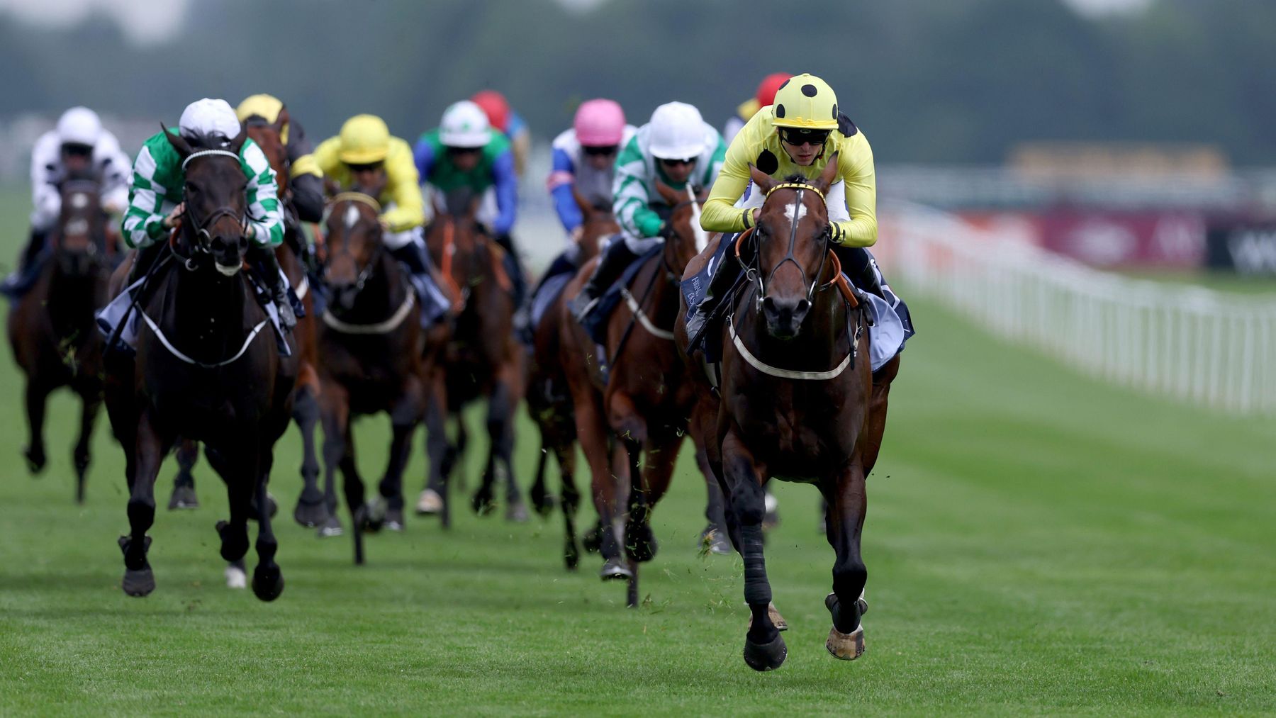 Karl Burke Royal Ascot stable tour 2024 including Fallen Angel, Elite ...