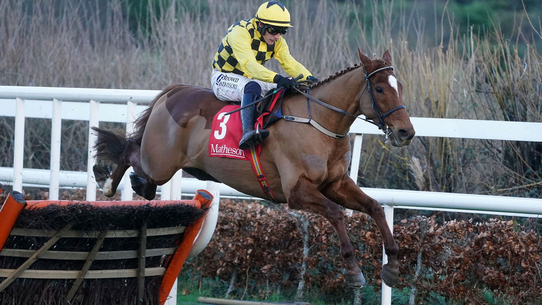 Cheltenham Tuesday runners & riders plus latest going