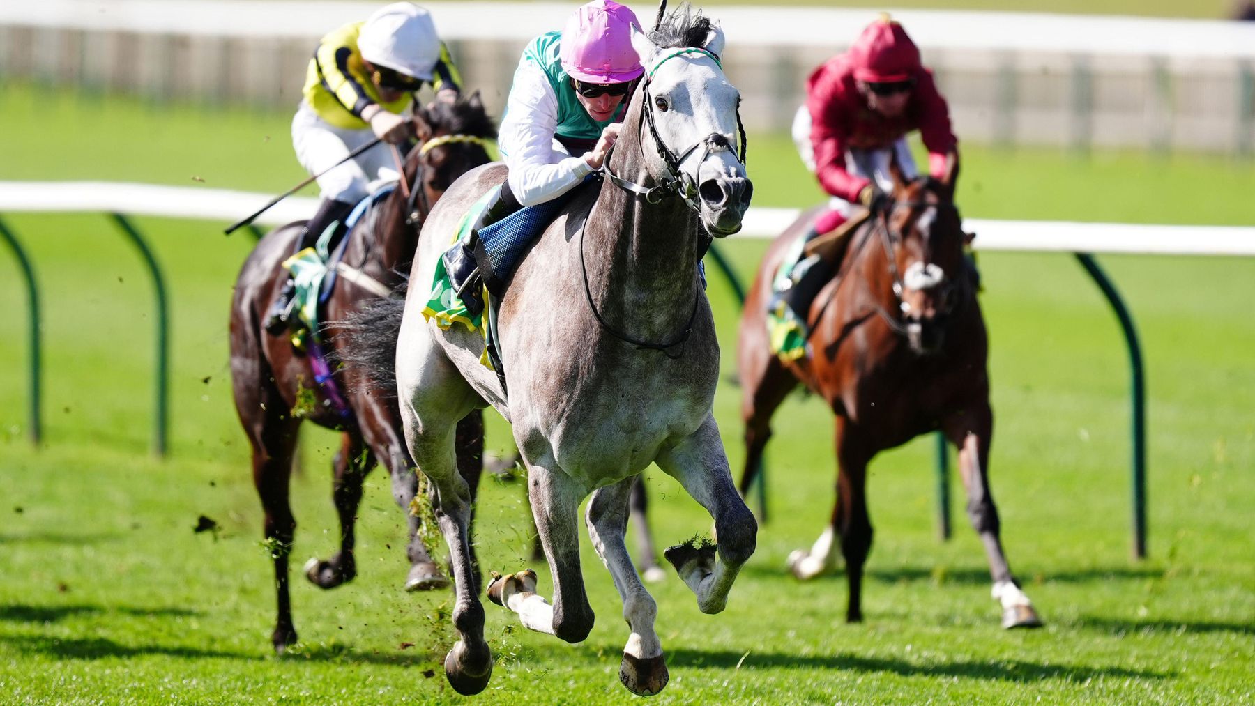 Race In Focus: Tattersalls Irish 2,000 Guineas, Saturday May 24