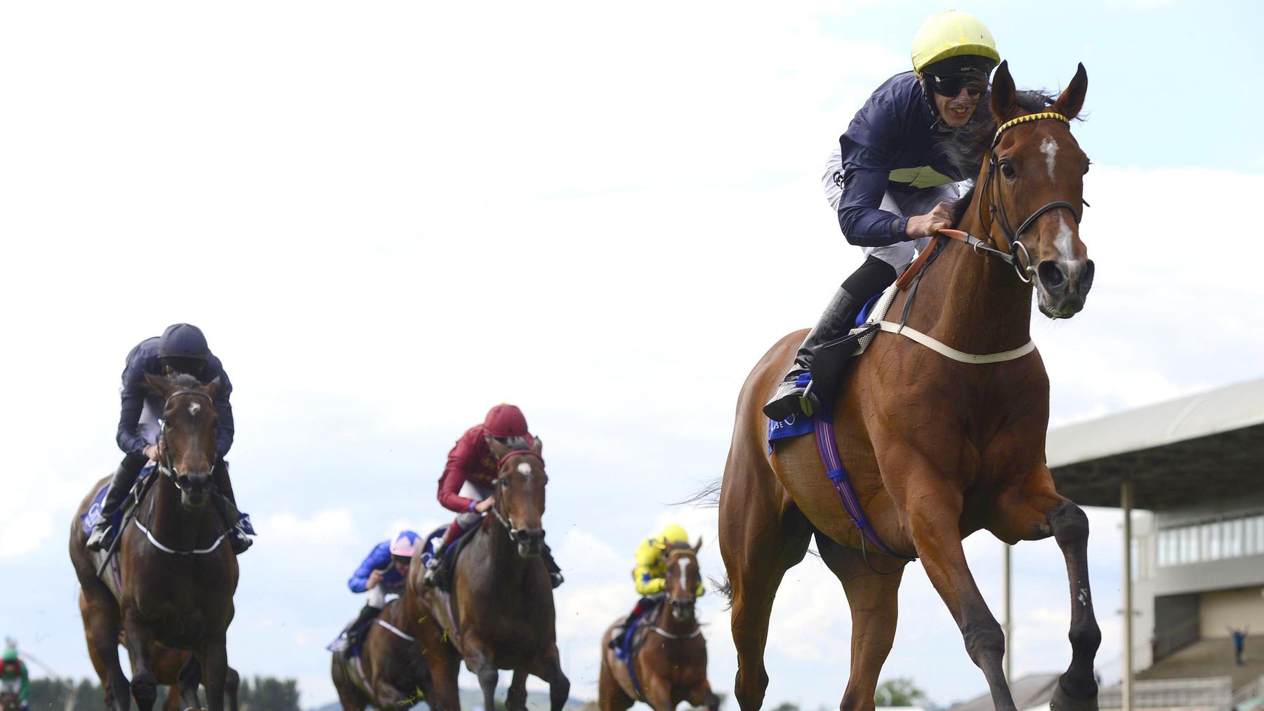 Dan Briden Two-Year-Old Guide: Jamie Insole