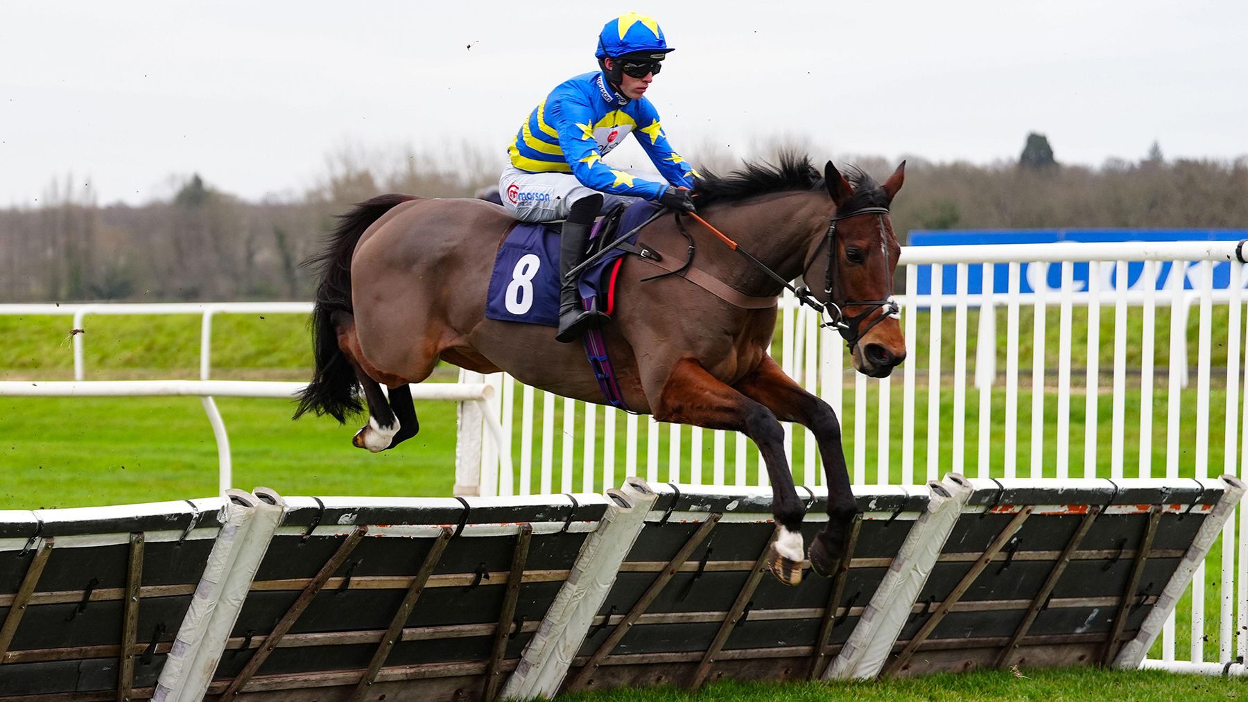 Minella Yoga in the frame for Trials Day at Cheltenham