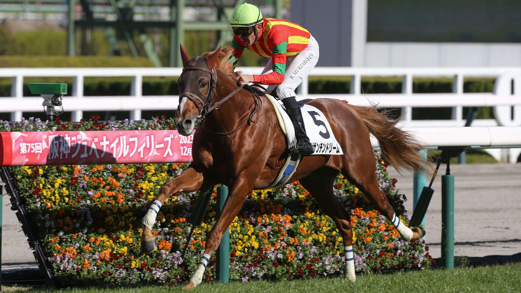 Japan's Longchamp trio arrive in winning form ahead of the Prix de l ...