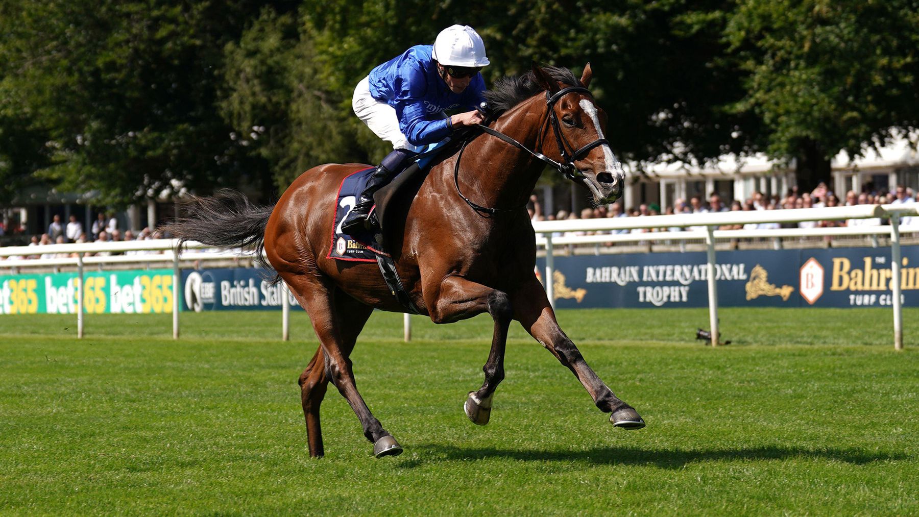 El Cordobes wins Sword Dancer Stakes at Saratoga