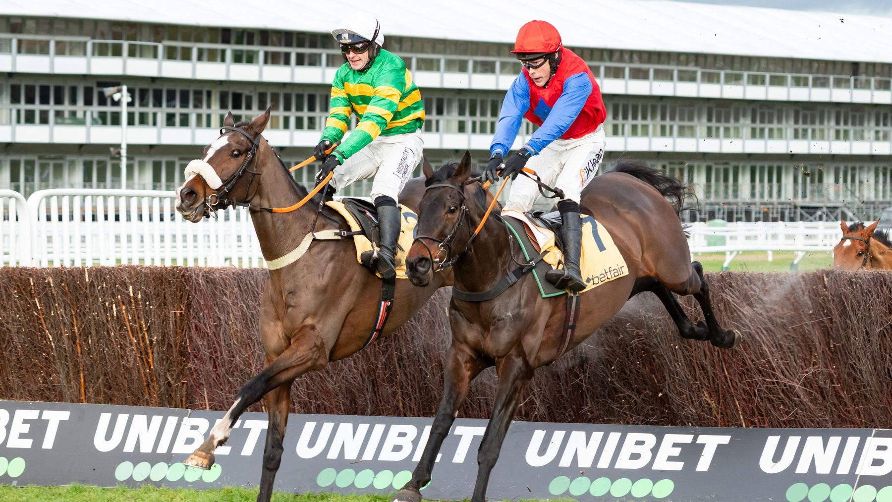 Trackside Live: Horses to Follow from Trials Day at Cheltenham