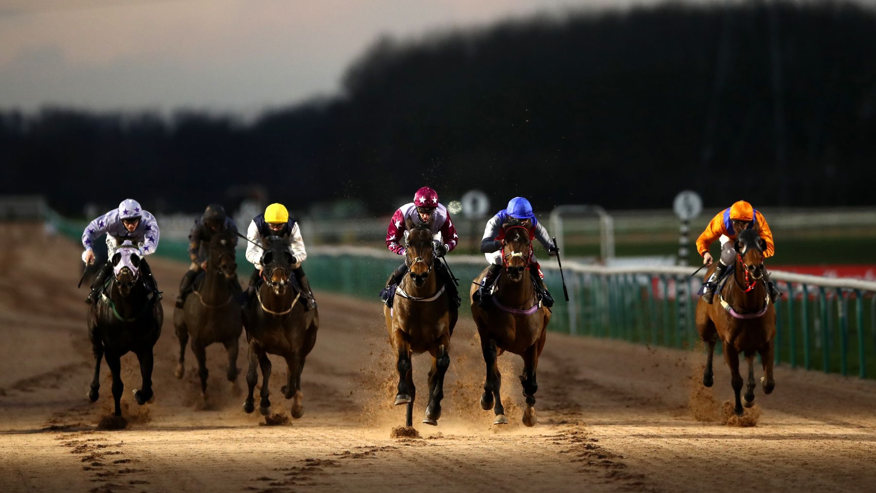 Racing tips: Free preview & best bets for every race on Sunday January 10