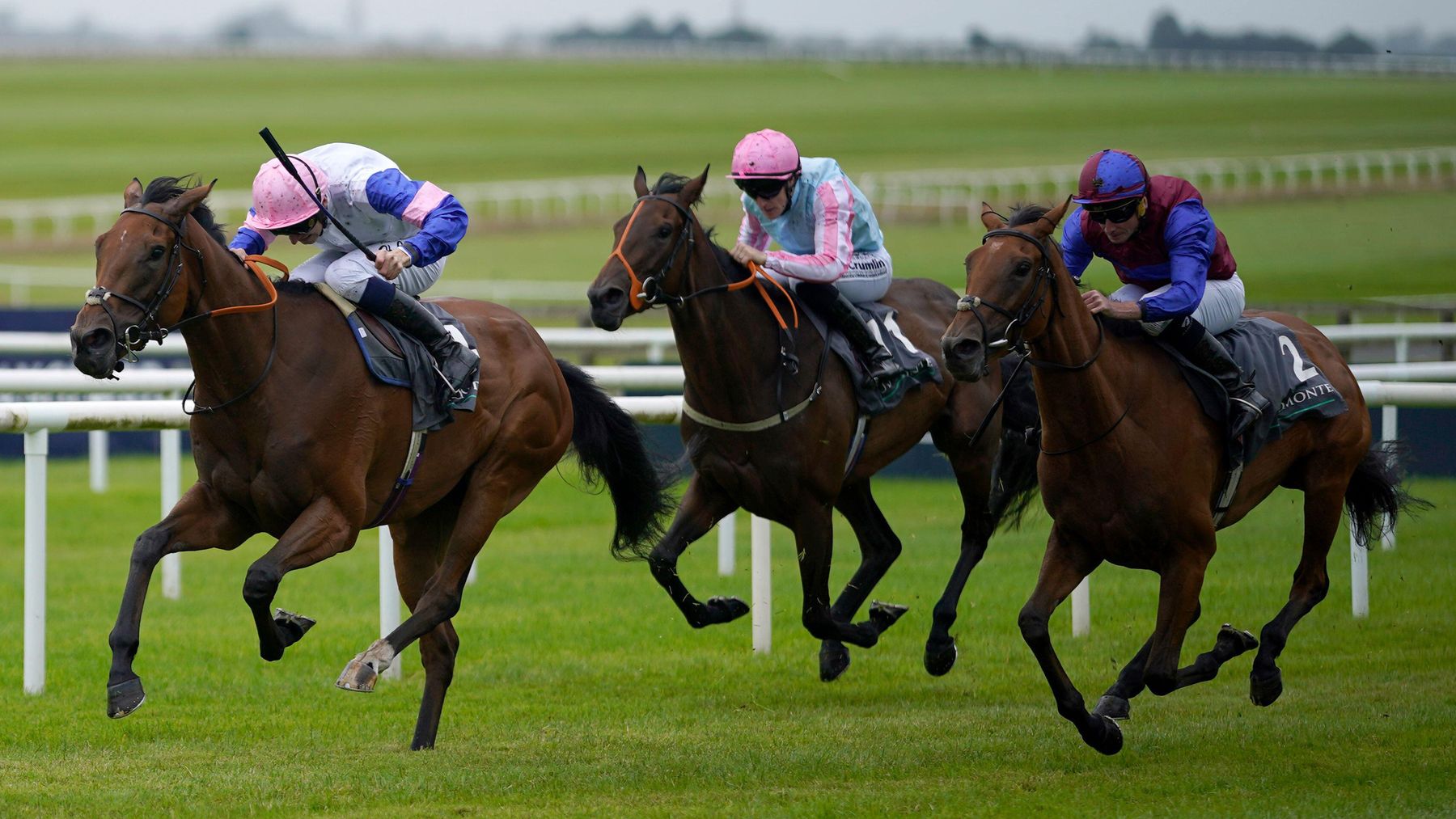 Adrian Murray making plans for stable switcher You Got To Me