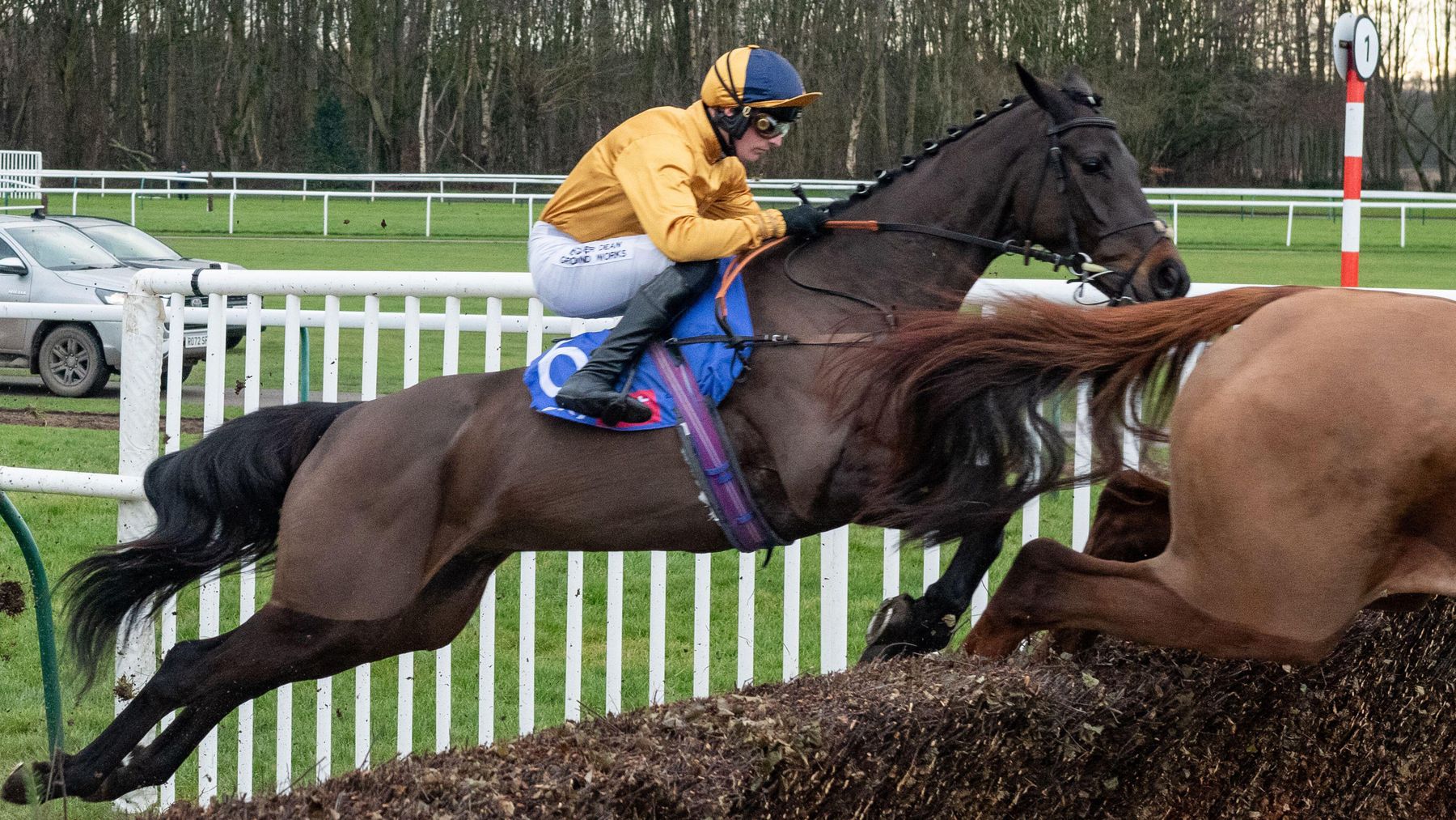 Imperial Saint lands gamble in Sky Bet Peter Marsh Chase