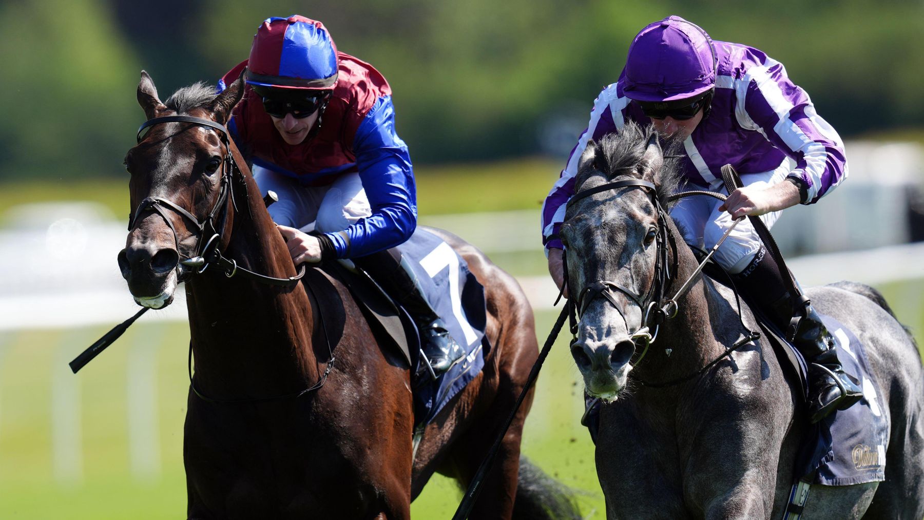 Lingfield Derby Trial report and replay: Puppet Master edges home